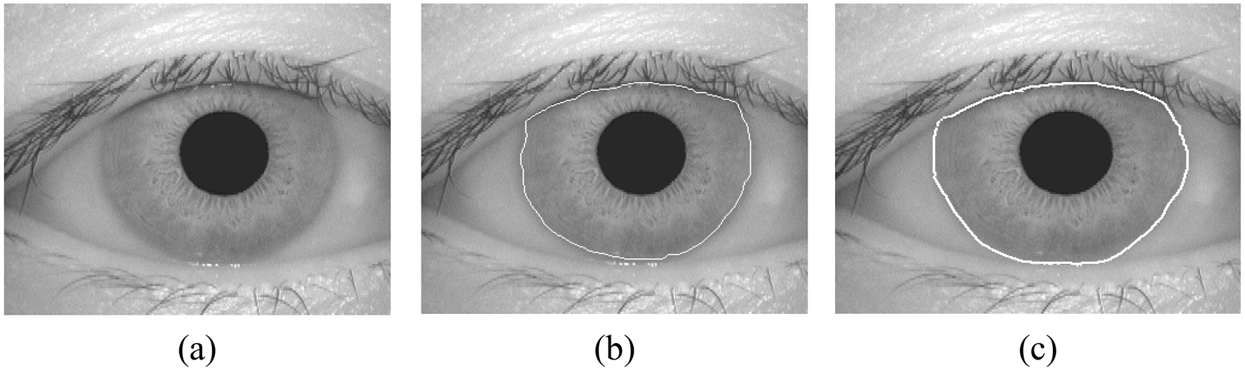 JAI | Free Full-Text | Iris Recognition Based on Multilevel Thresholding Technique and Modified ...