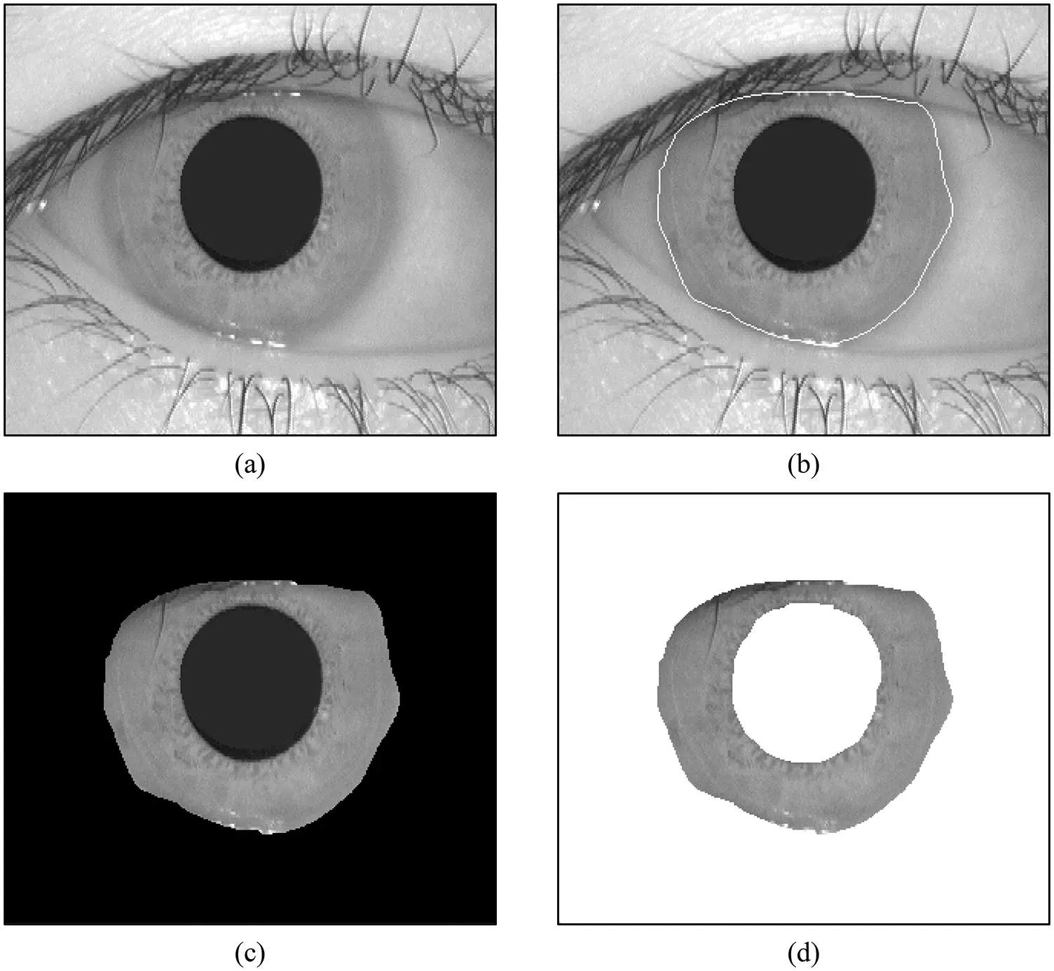 JAI | Free Full-Text | Iris Recognition Based on Multilevel Thresholding Technique and Modified ...
