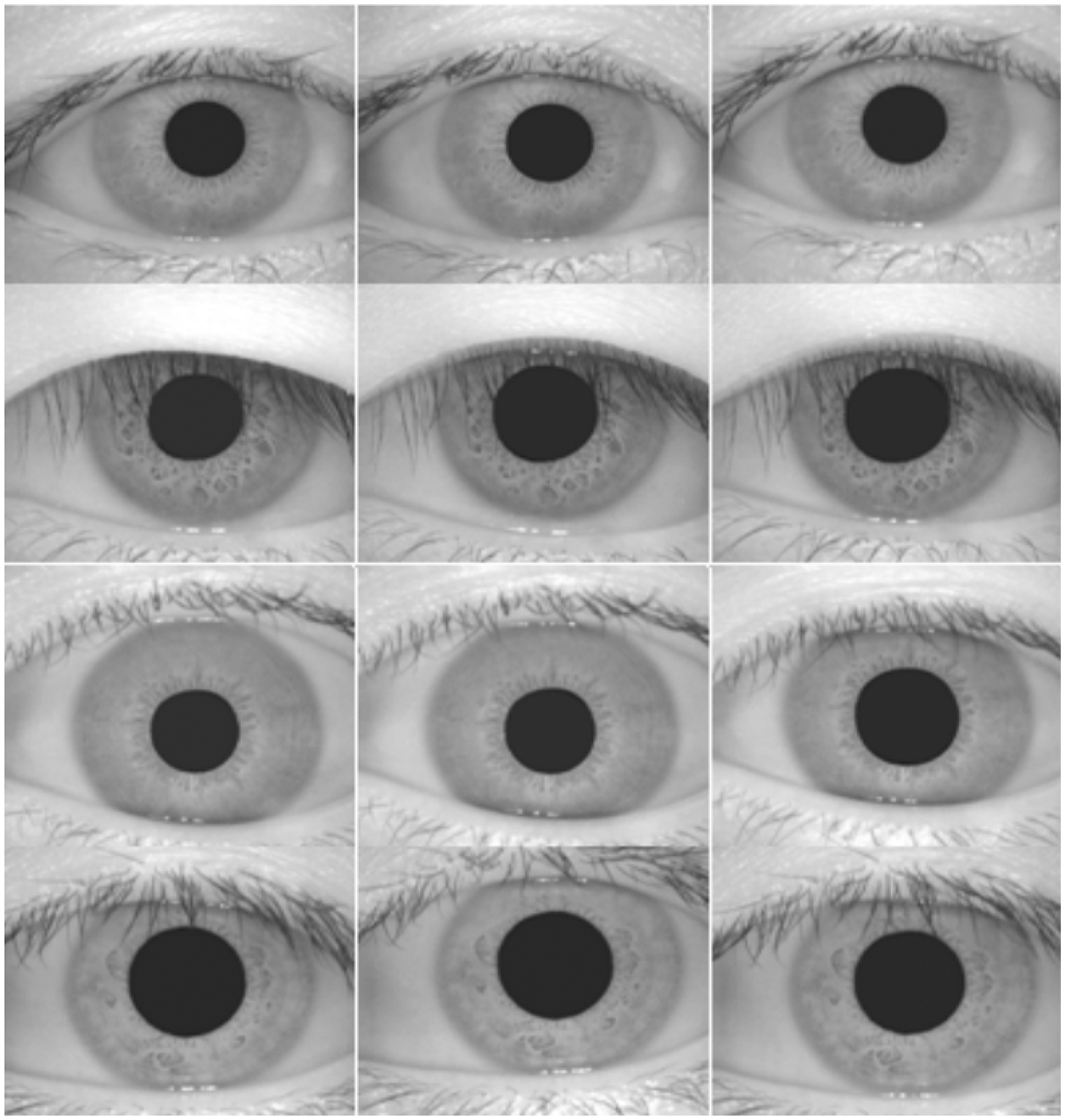 JAI | Free Full-Text | Iris Recognition Based on Multilevel Thresholding Technique and Modified ...