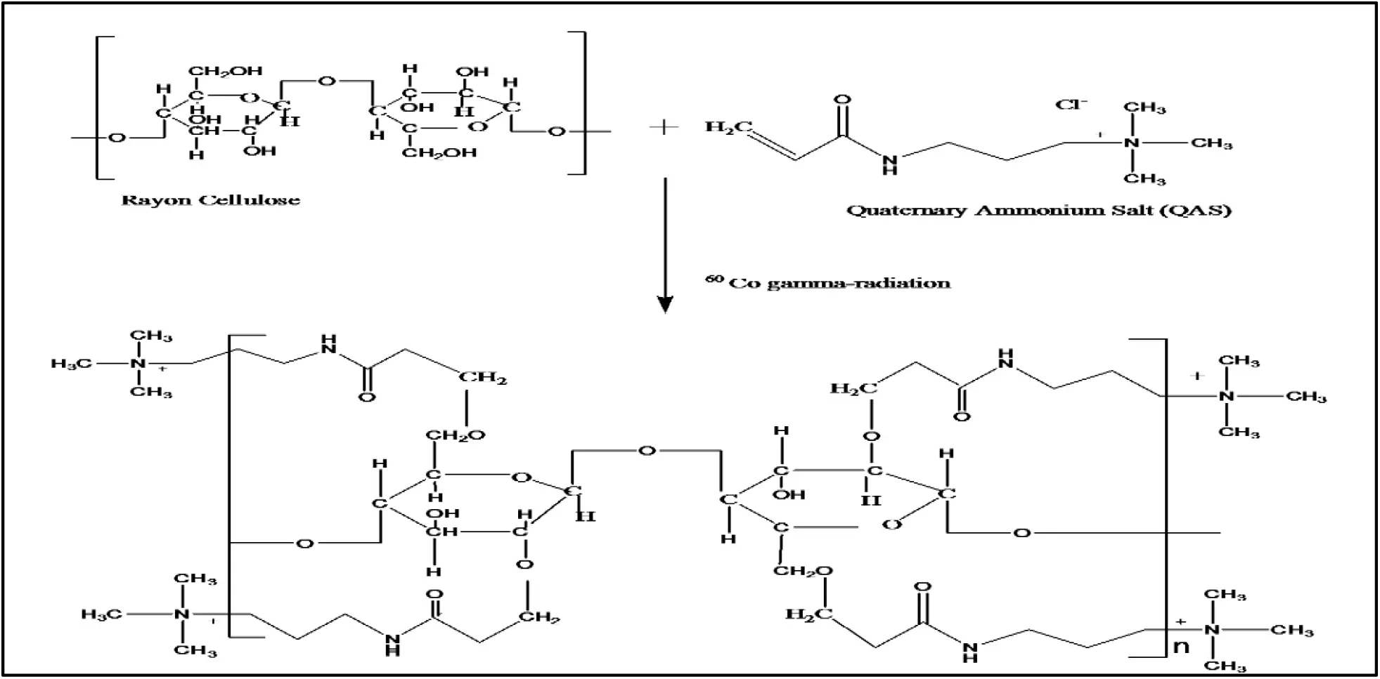 JPM | Free Full-Text | Gamma Radiation Induced Mutual Grafting of ...