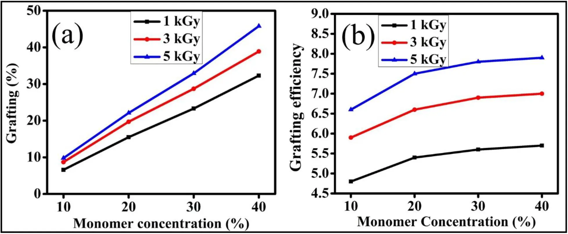 JPM | Free Full-Text | Gamma Radiation Induced Mutual Grafting of ...