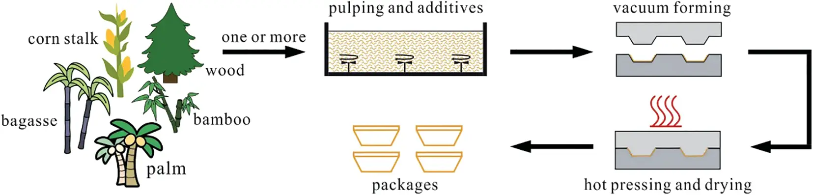 JRM | Free Full-Text | Advances in Research of Molded Pulp for Food ...