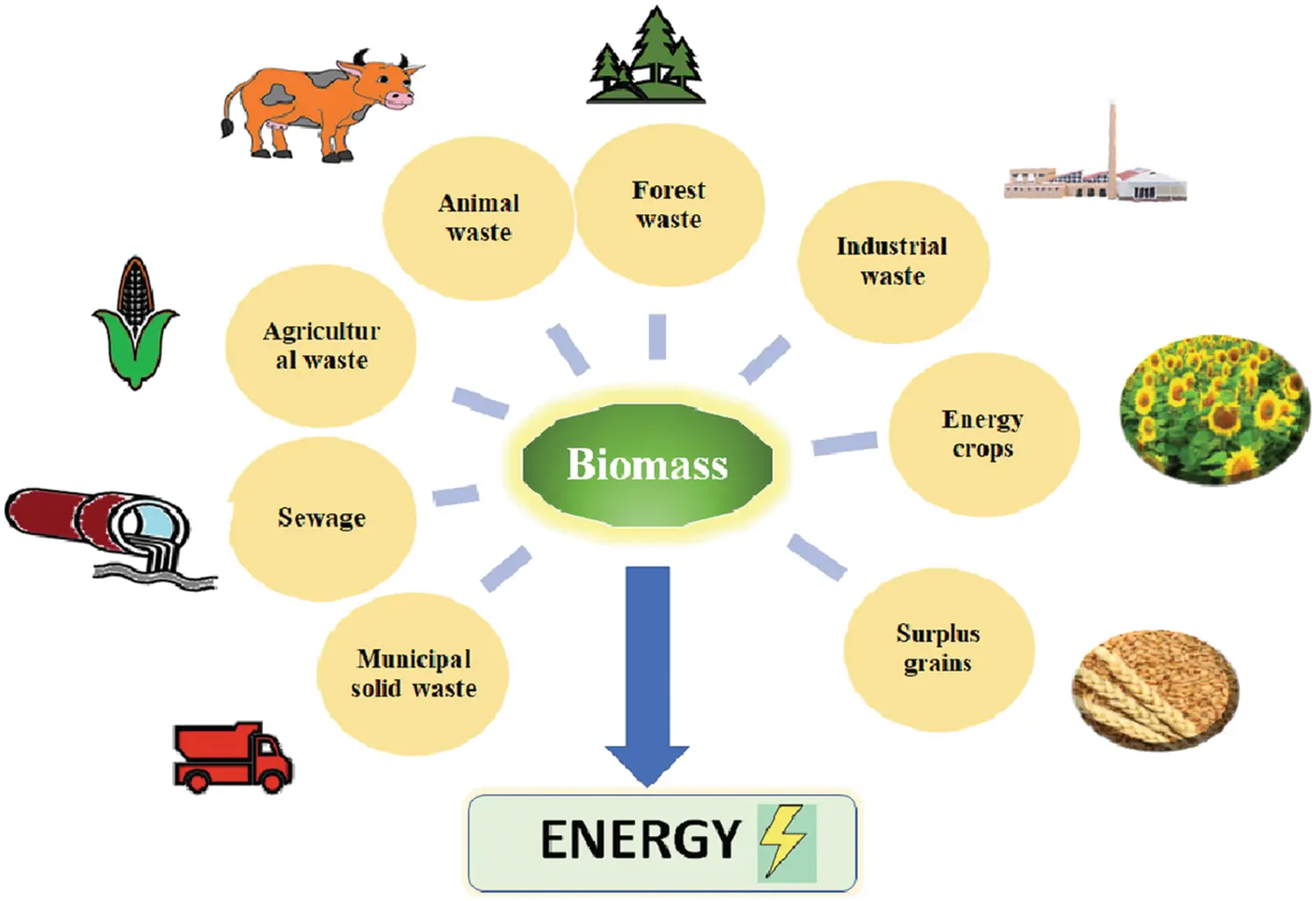 JRM | Free Full-Text | Nigerian Biomass for Bioenergy Applications: A ...