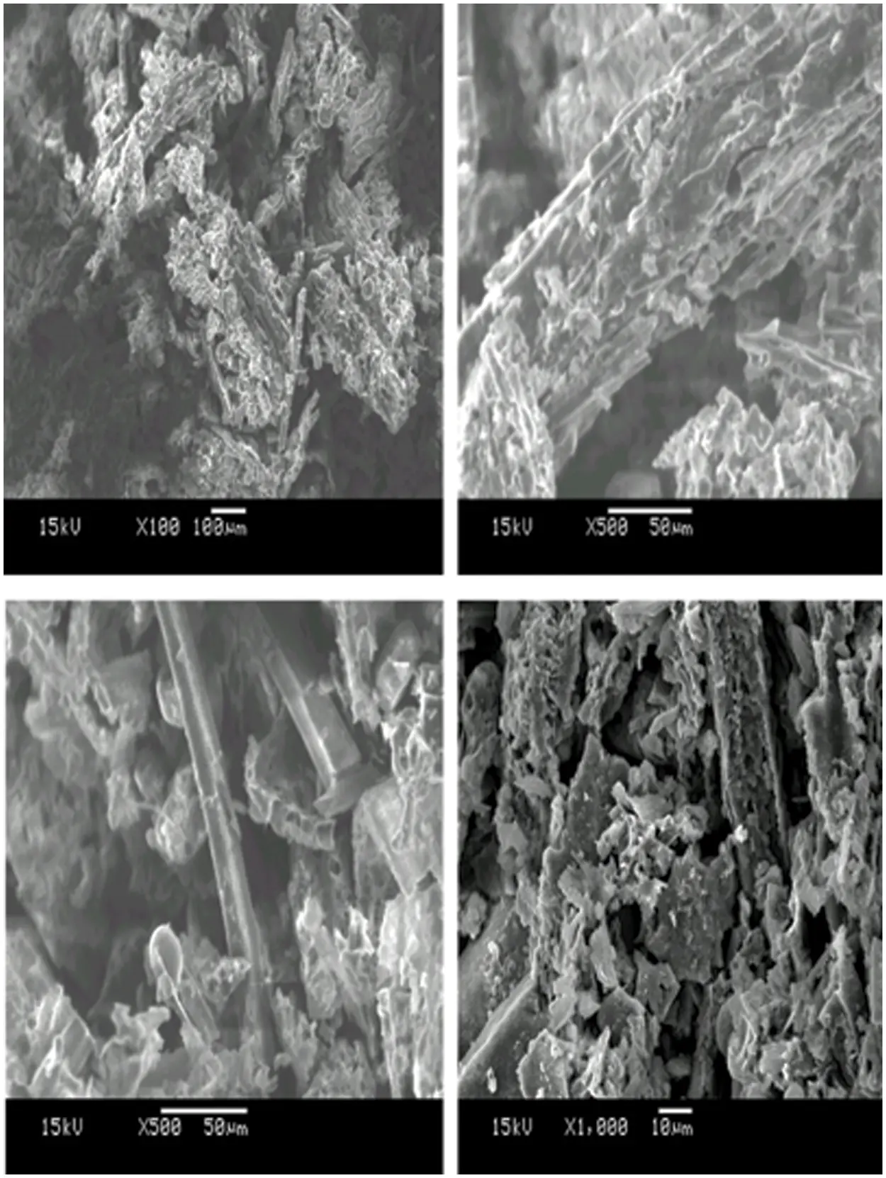 JRM | Free Full-Text | Expansive Soil Stabilization by Bagasse Ash in ...