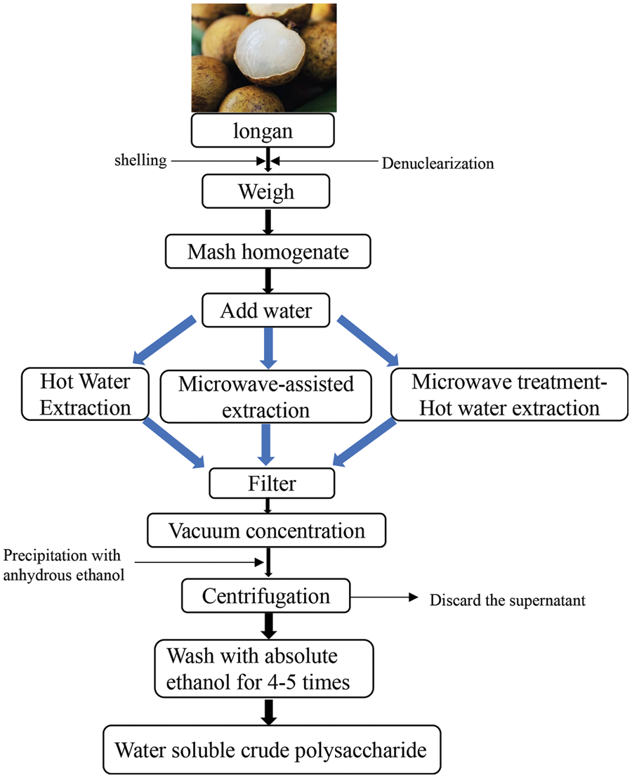 JRM | Free Full-Text | Research Progress on Structure and Bioactivity ...
