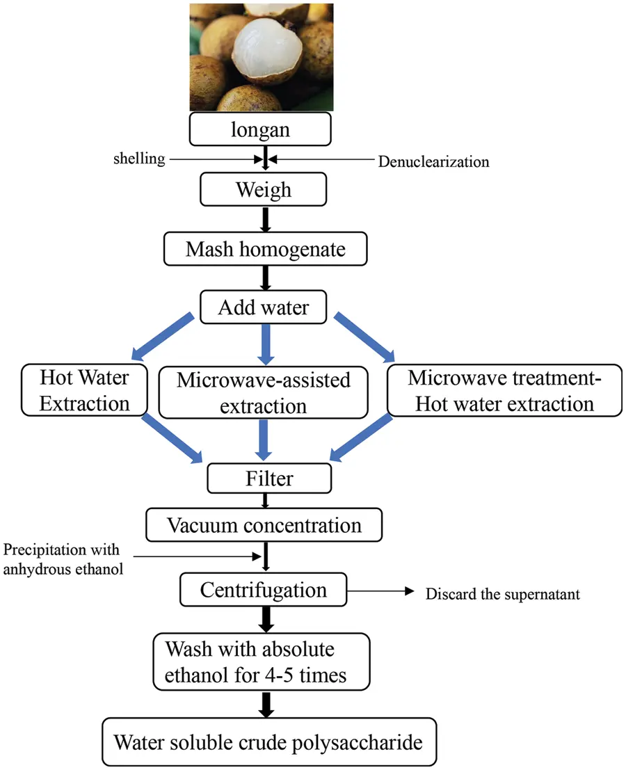 JRM | Free Full-Text | Research Progress on Structure and Bioactivity ...