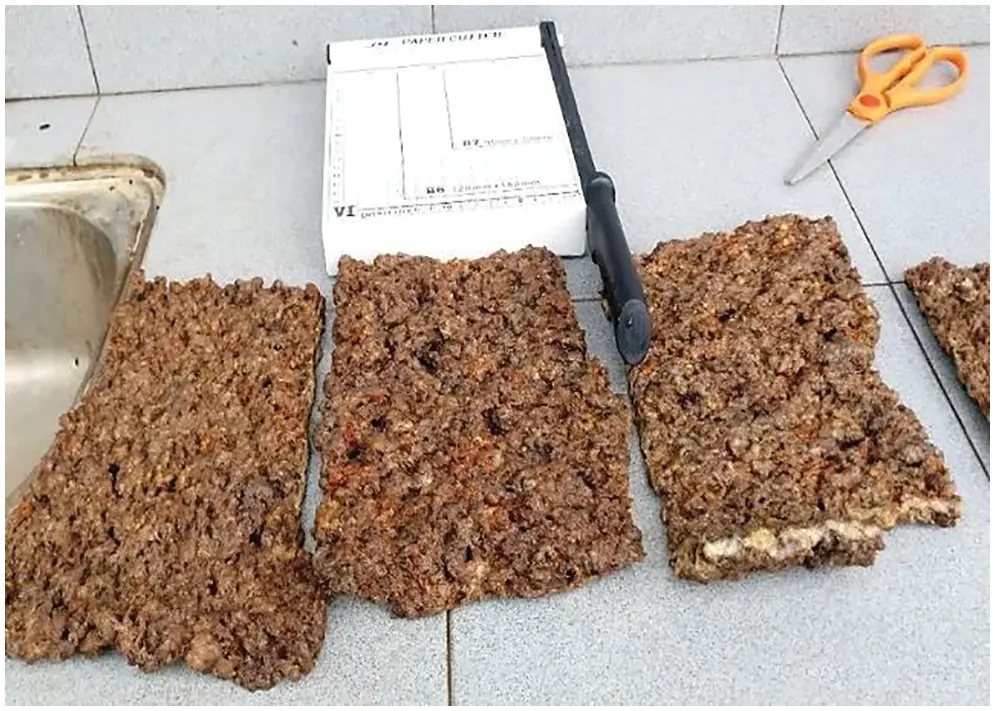 JRM | Free Full-Text | Rheological and Morphological Characterization ...