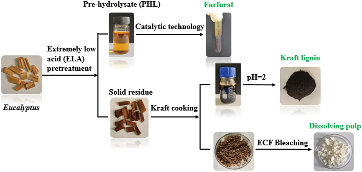 JRM | Free Full-Text | Co-Production of High-Grade Dissolving Pulp ...