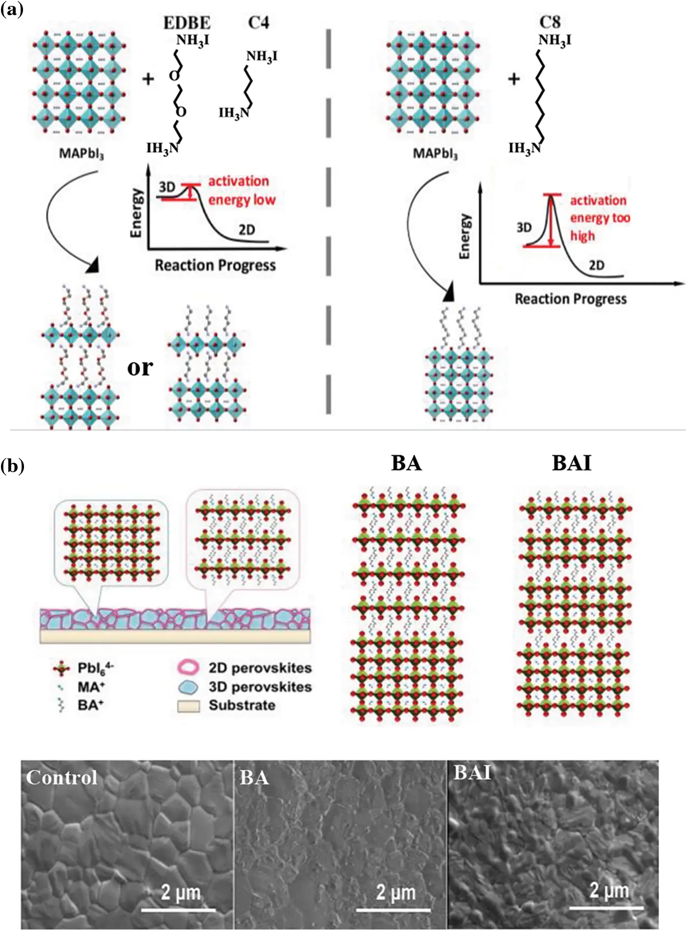 JRM | Free Full-Text | Recent Progress of Surface Passivation Molecules ...