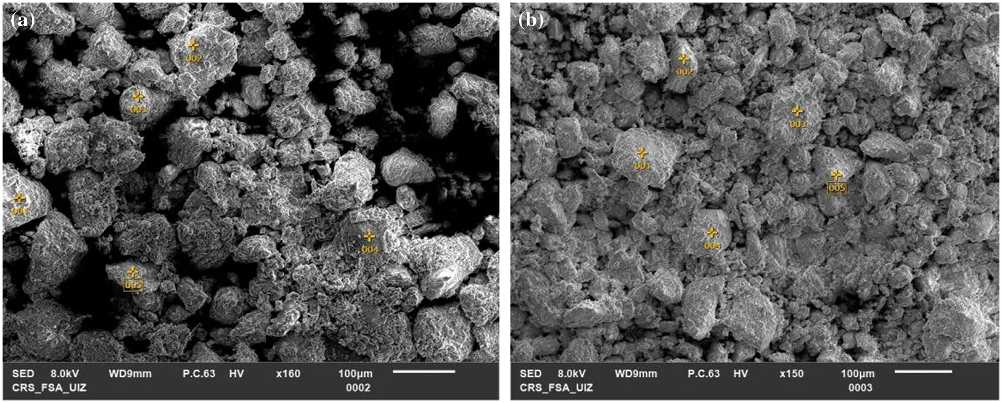 JRM | Free Full-Text | Structural and Physicochemical Properties of ...