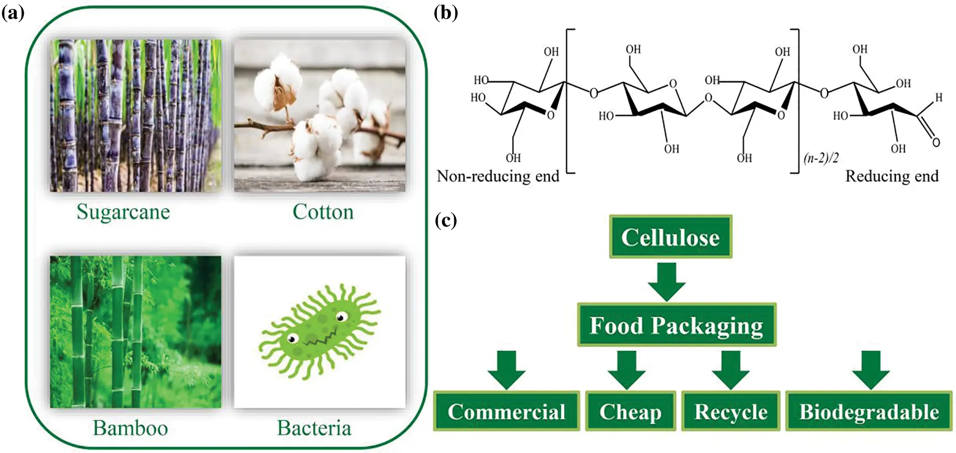 JRM | Free Full-Text | Cellulose-Based Films for Food Packaging ...