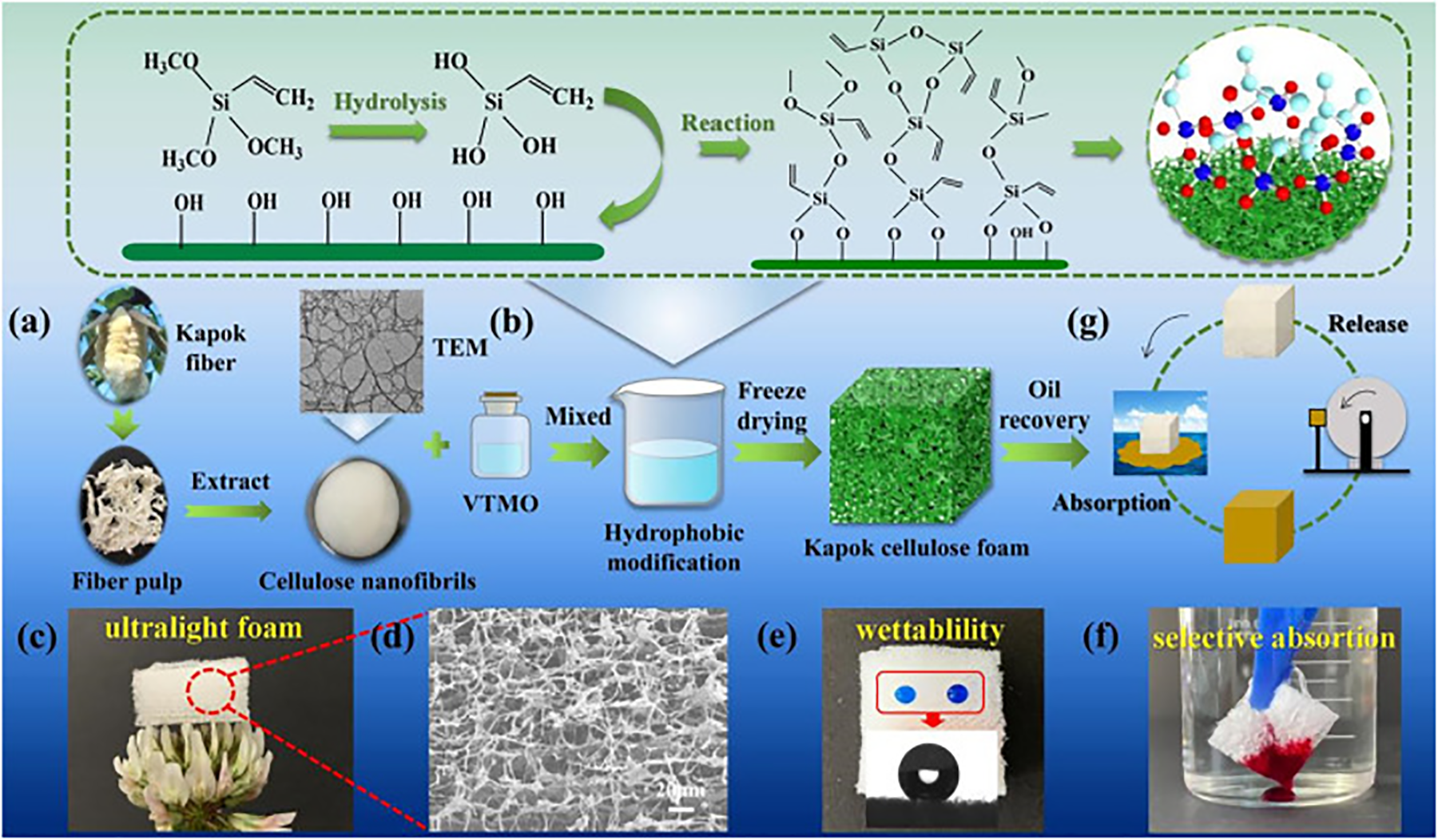 JRM | Free Full-Text | Research Progress of Biomass-Based Porous Oil ...