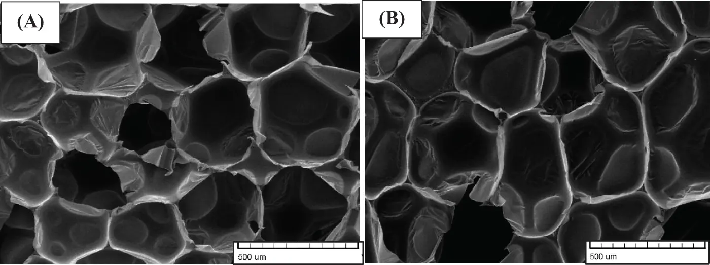 JRM | Free Full-Text | Bio-Based Rigid Polyurethane Foams for Cryogenic ...