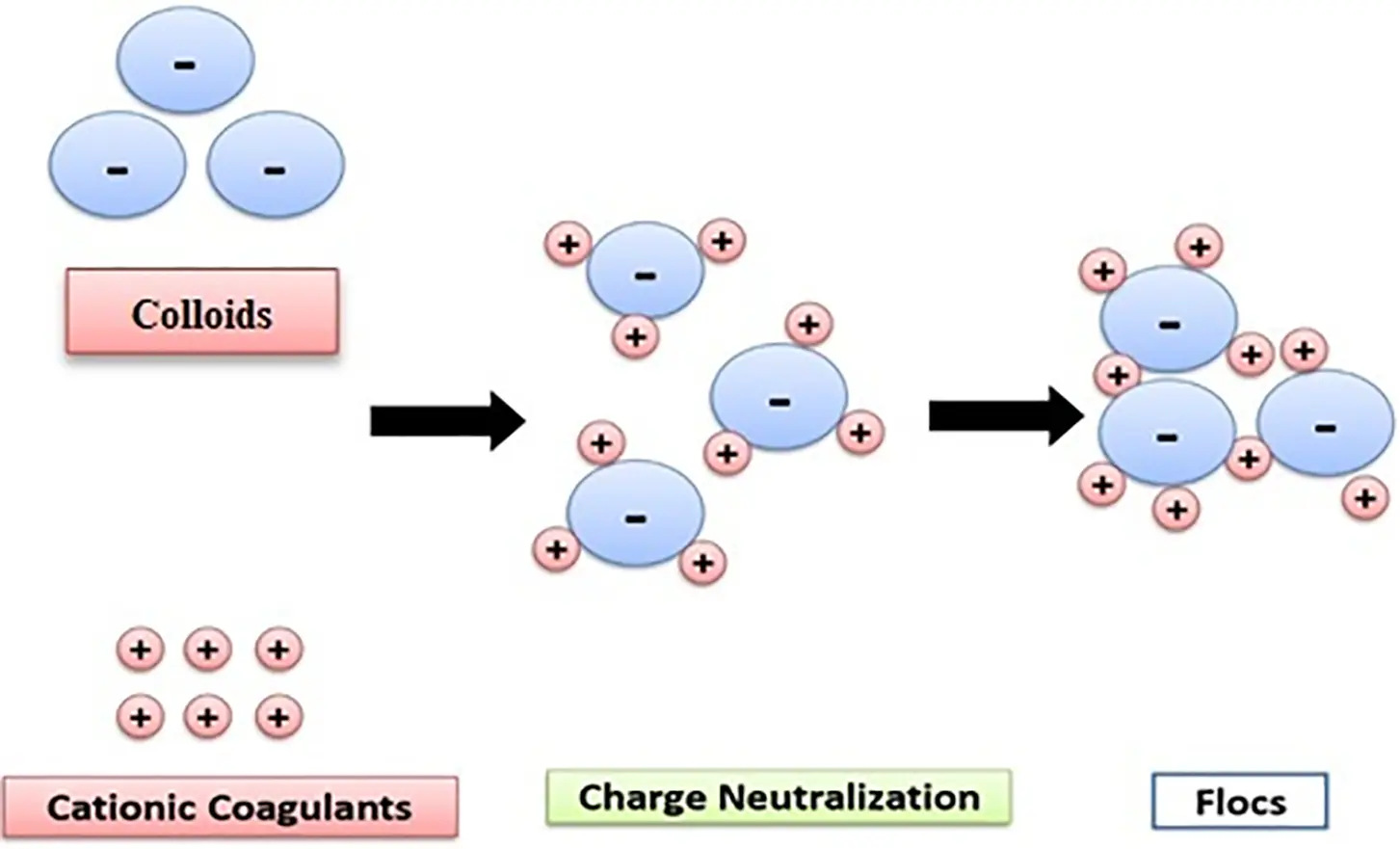 JRM | Free Full-Text | Application of Plant-Based Coagulants and Their ...