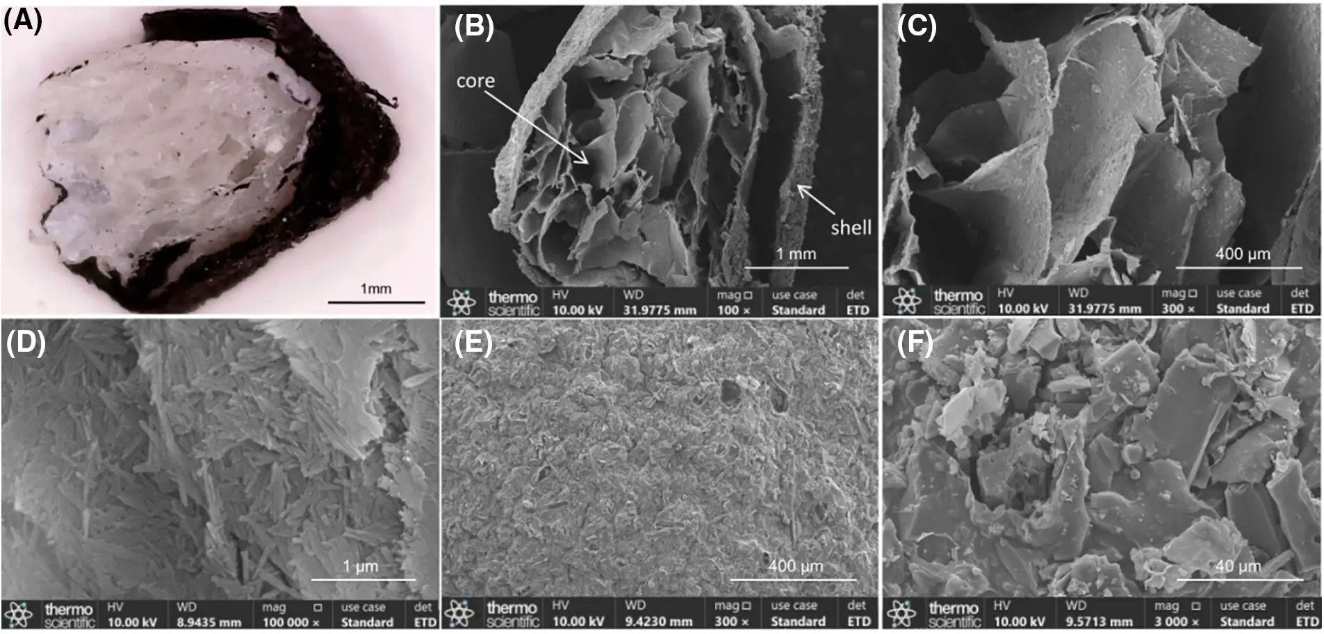 JRM | Free Full-Text | Fabrication of Core-Shell Hydrogel Bead Based on ...