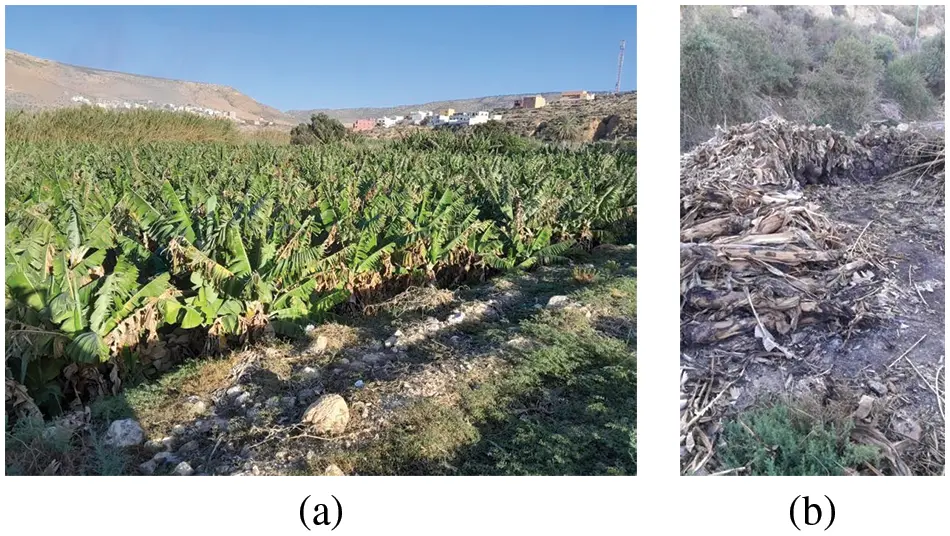 JRM | Free Full-Text | Thermo-Physical Potential of Recycled Banana ...