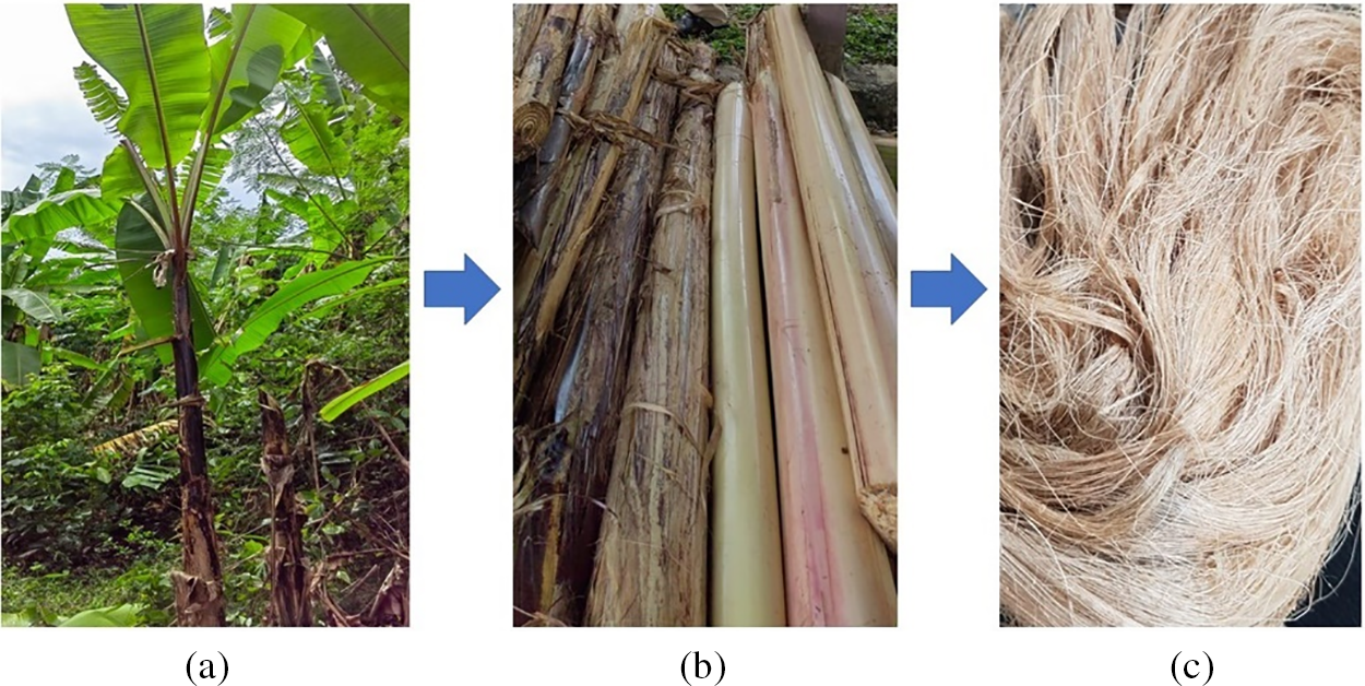JRM | Free Full-Text | Abaca Fiber as a Potential Reinforcer for ...