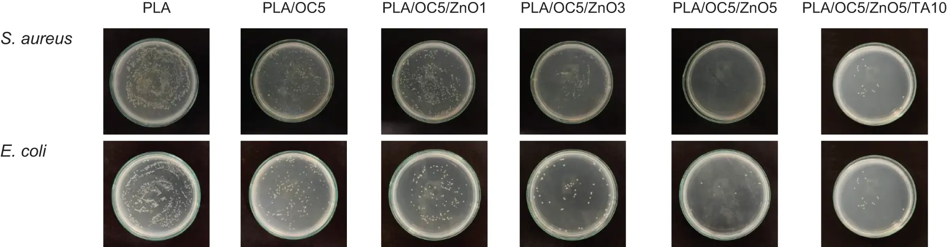 JRM | Free Full-Text | Synergism of Zinc Oxide/Organoclay-Loaded Poly ...