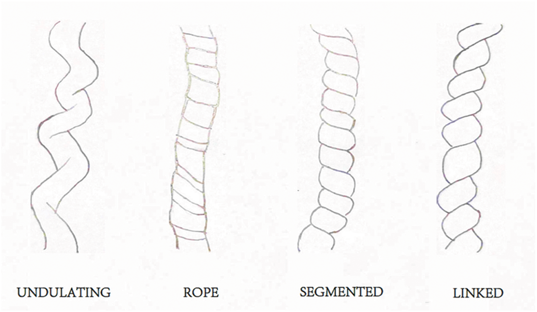 MCB | Free Full-Text | Current Perspectives on Umbilical Cord ...