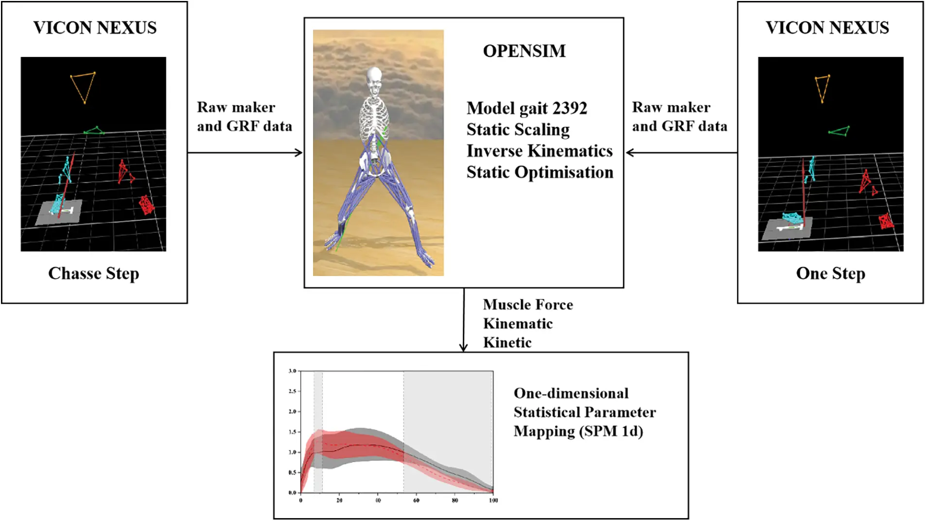 MCB | Free Full-Text | Lower Limb Muscle Forces in Table Tennis ...