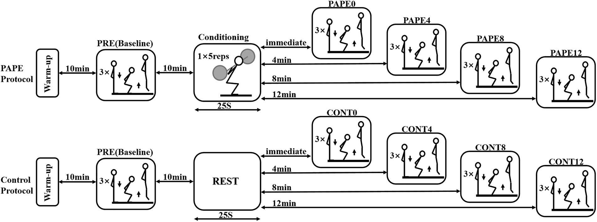 MCB | Free Full-Text | Can PAPE-Induced Increases in Jump Height Be ...