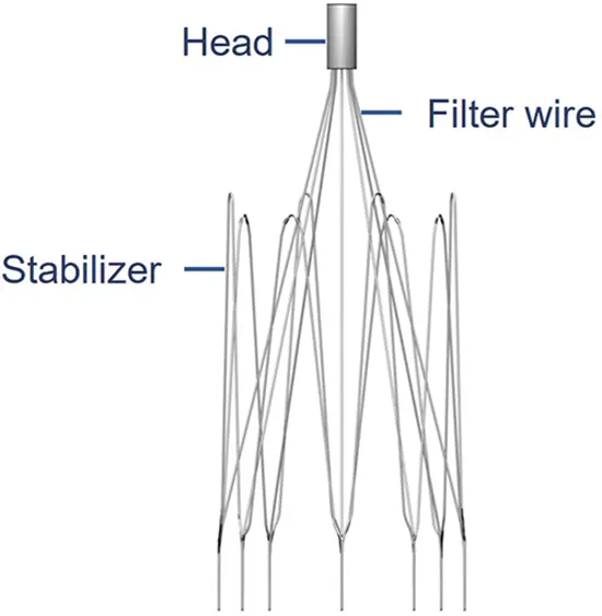 MCB | Free Full-Text | CFD Study on Hemodynamic Characteristics of ...