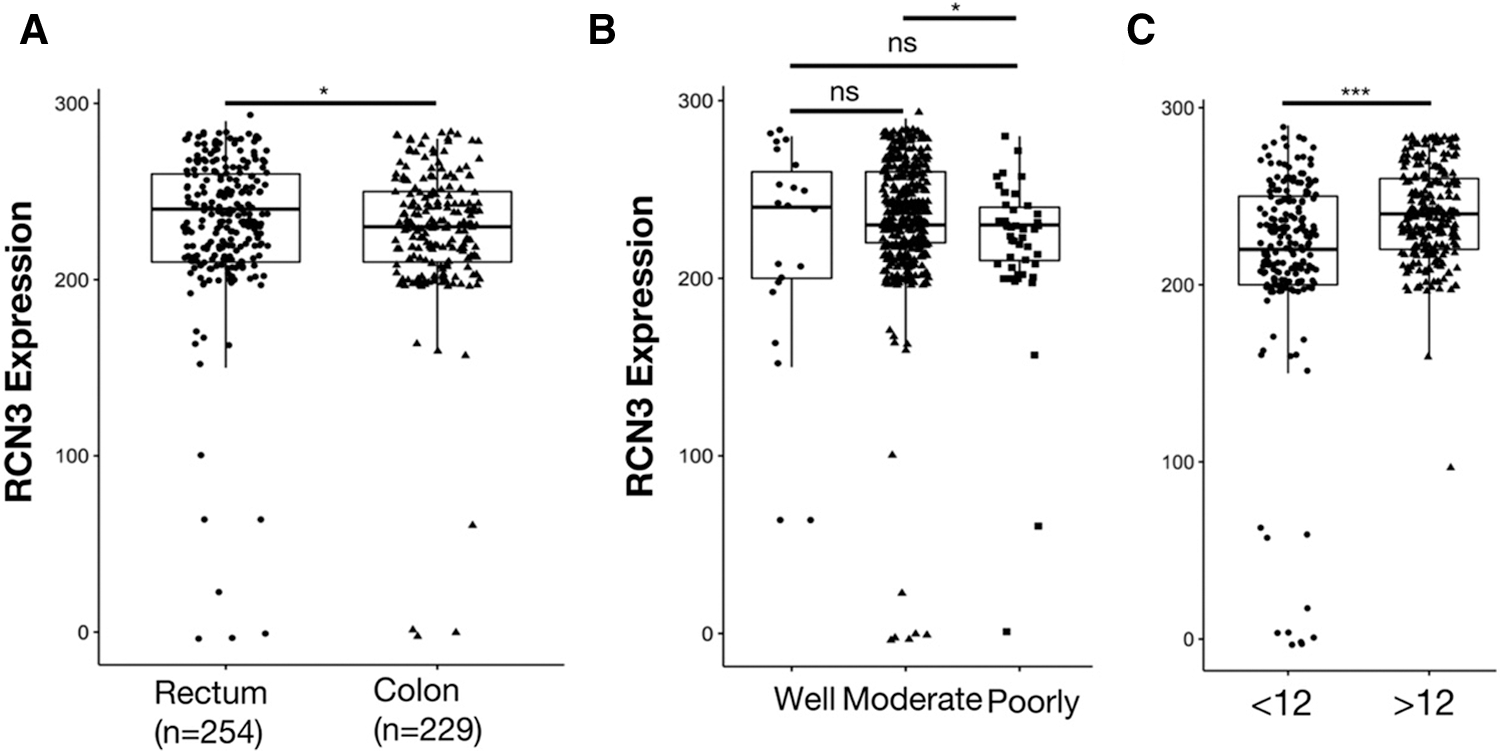 ONCOLOGIE | Free Full-Text | RCN3 Expression Indicates Prognosis in ...