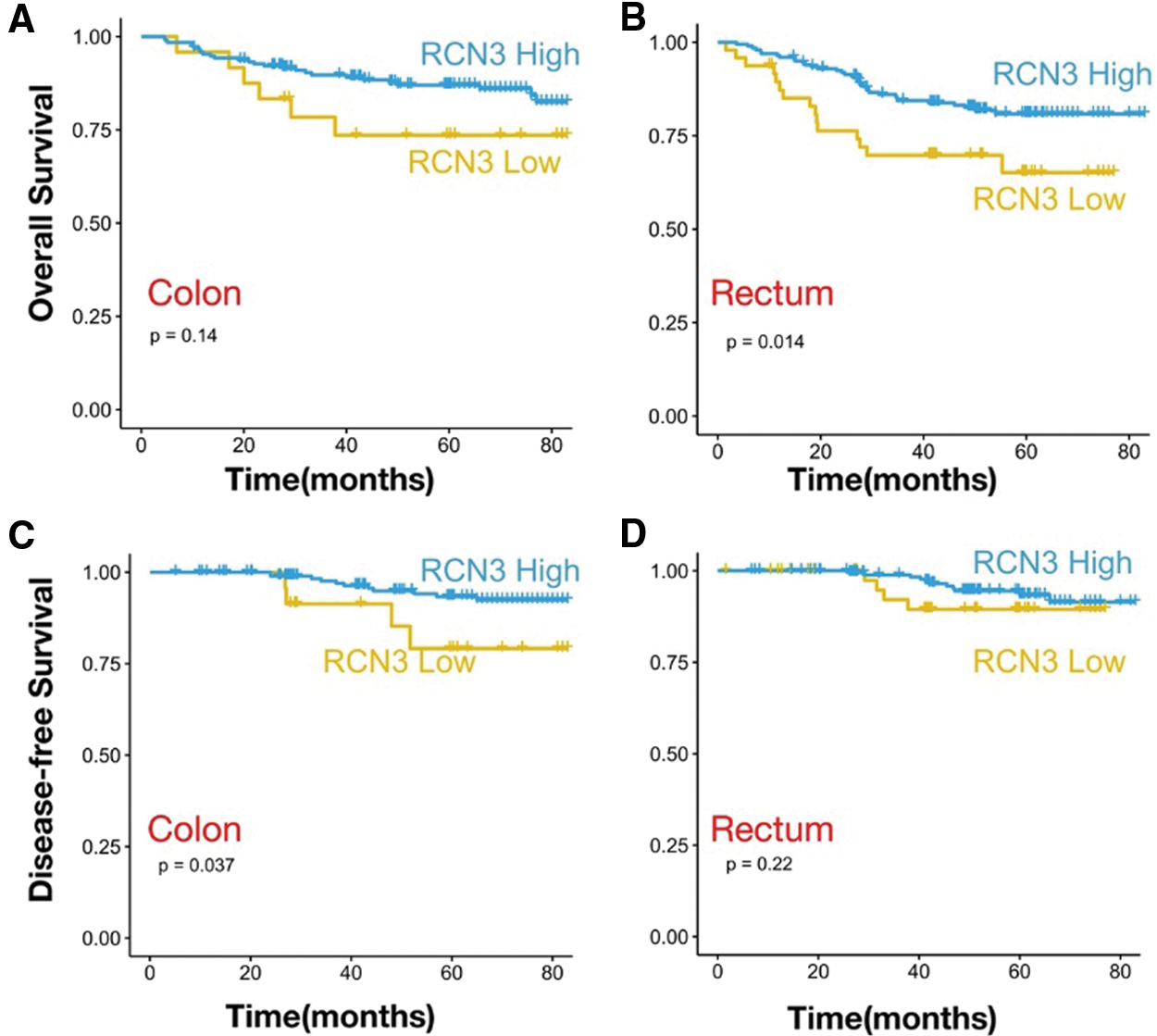 ONCOLOGIE | Free Full-Text | RCN3 Expression Indicates Prognosis in ...