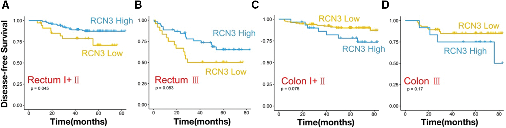 ONCOLOGIE | Free Full-Text | RCN3 Expression Indicates Prognosis in ...