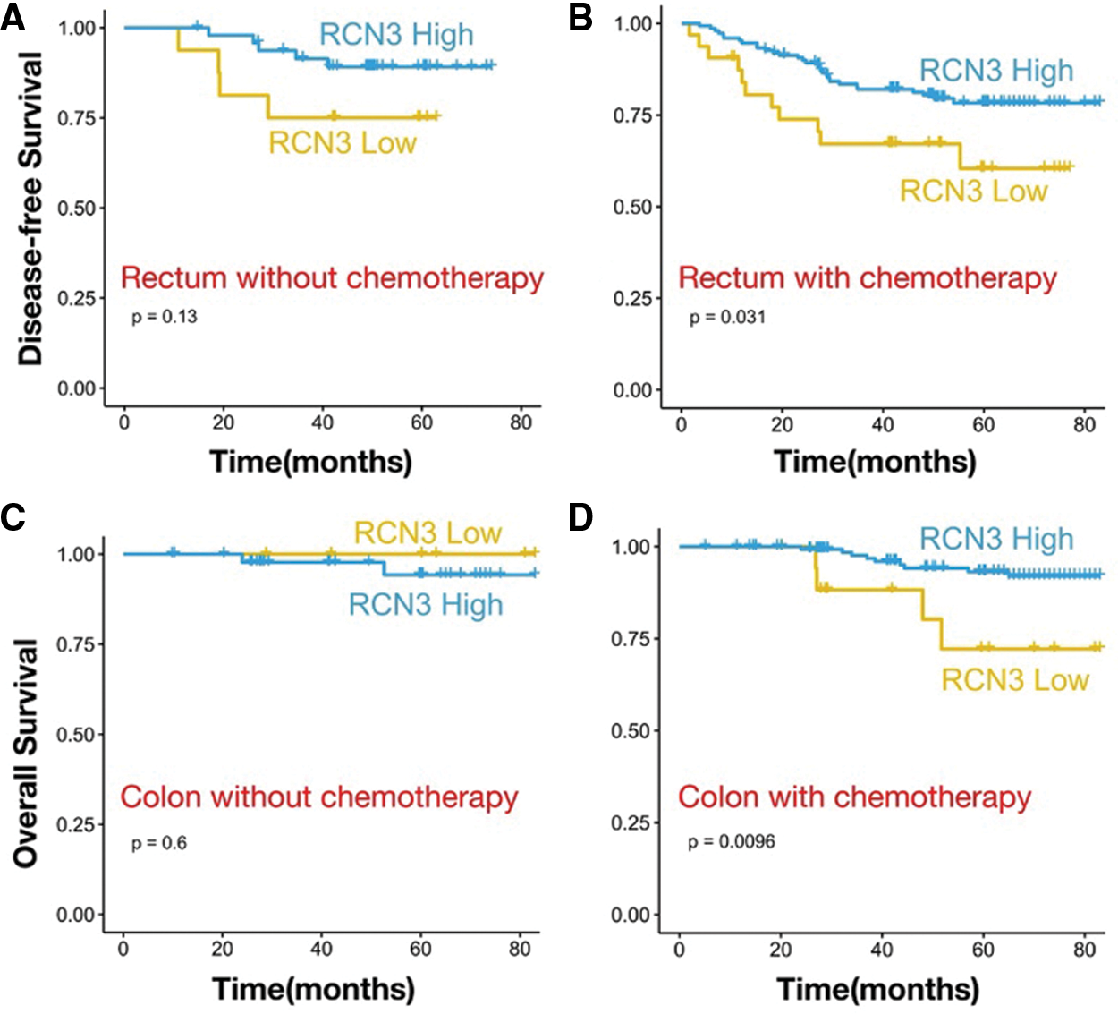 ONCOLOGIE | Free Full-Text | RCN3 Expression Indicates Prognosis in ...