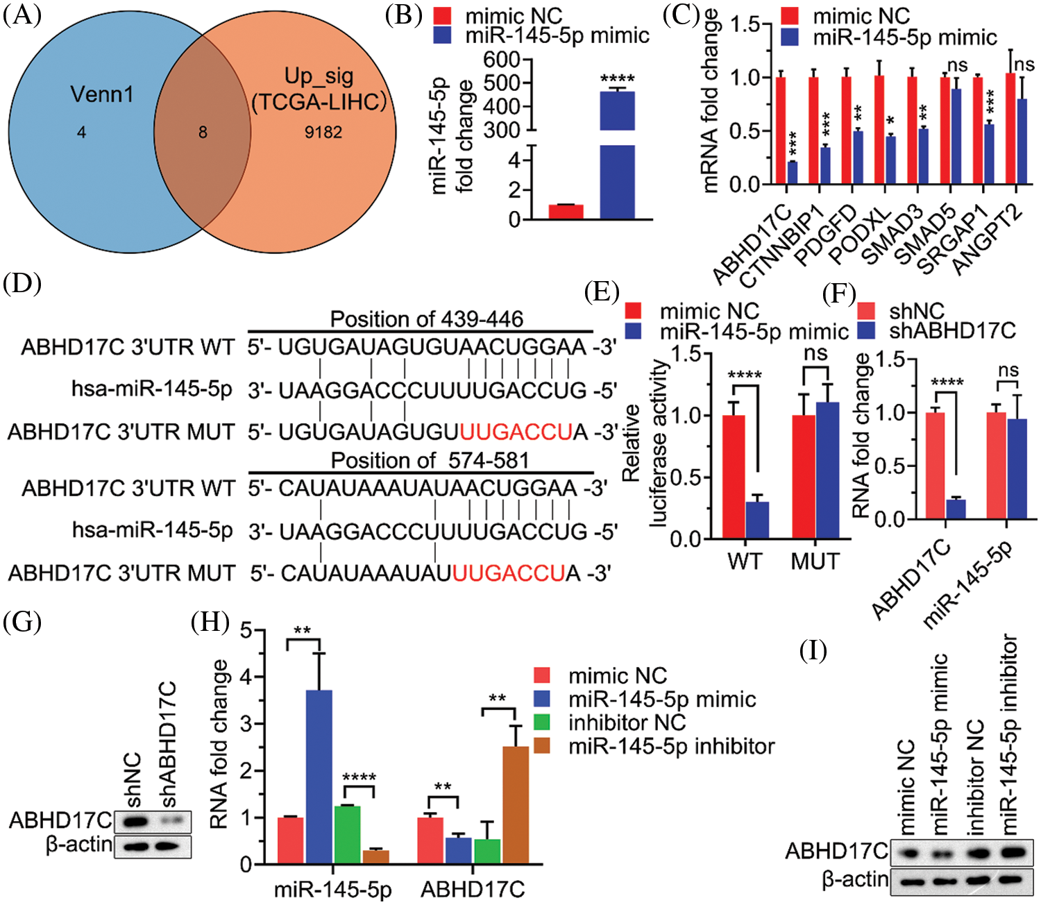 ONCOLOGIE | Free Full-Text | MiR-145-5p Suppresses Hepatocellular ...