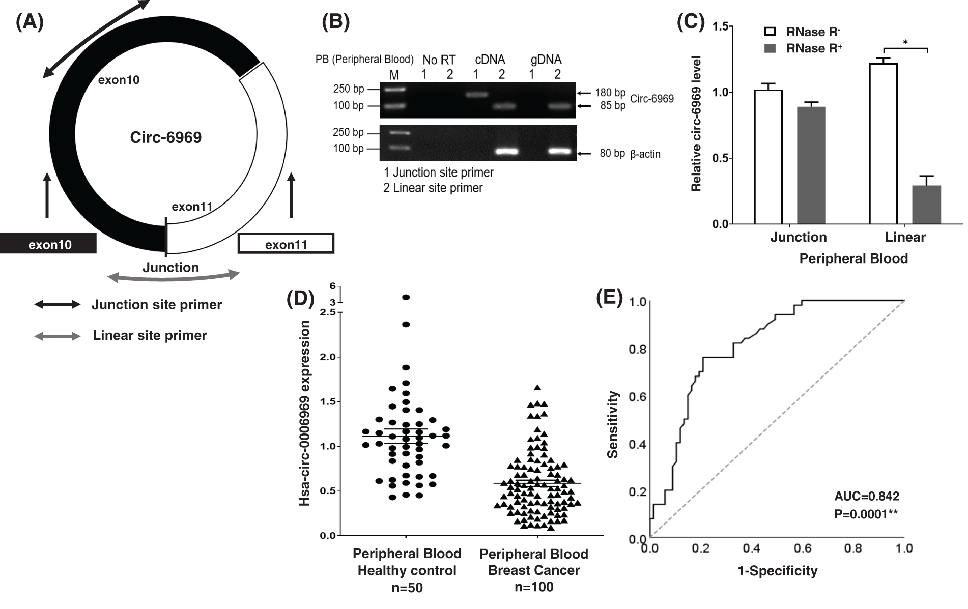 ONCOLOGIE | Free Full-Text | Identification of Circular RNA hsa-circ ...