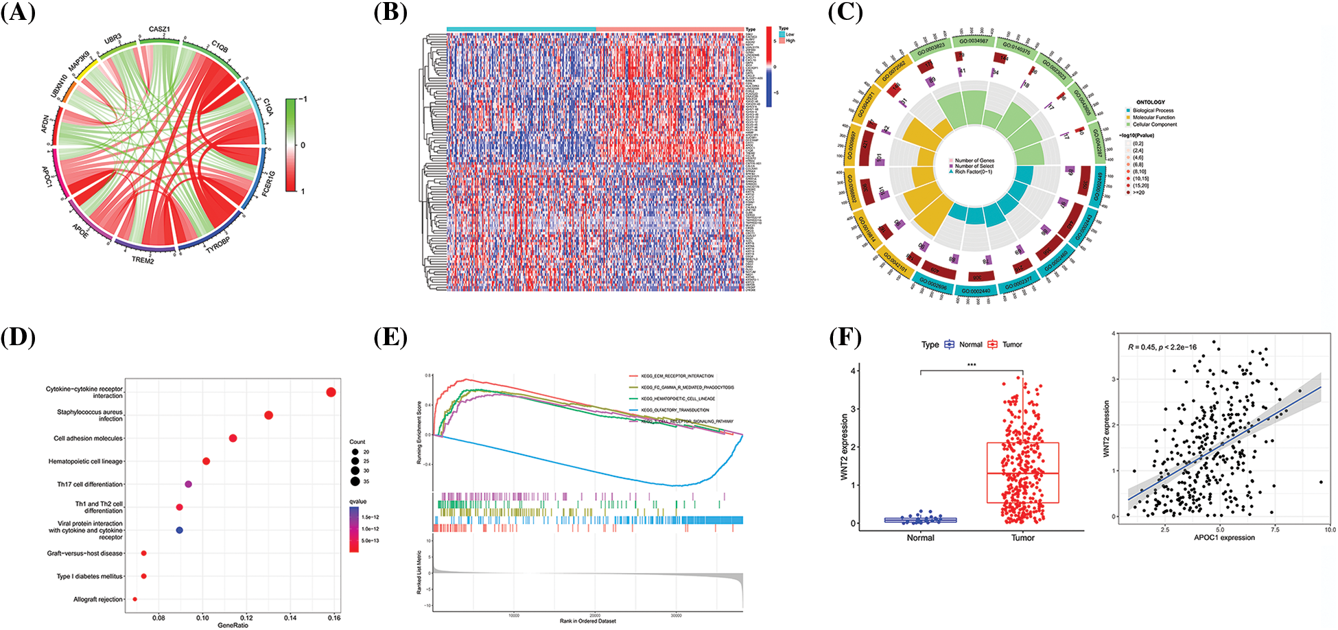 OR | Free Full-Text | Apolipoprotein C1 promotes tumor progression in ...