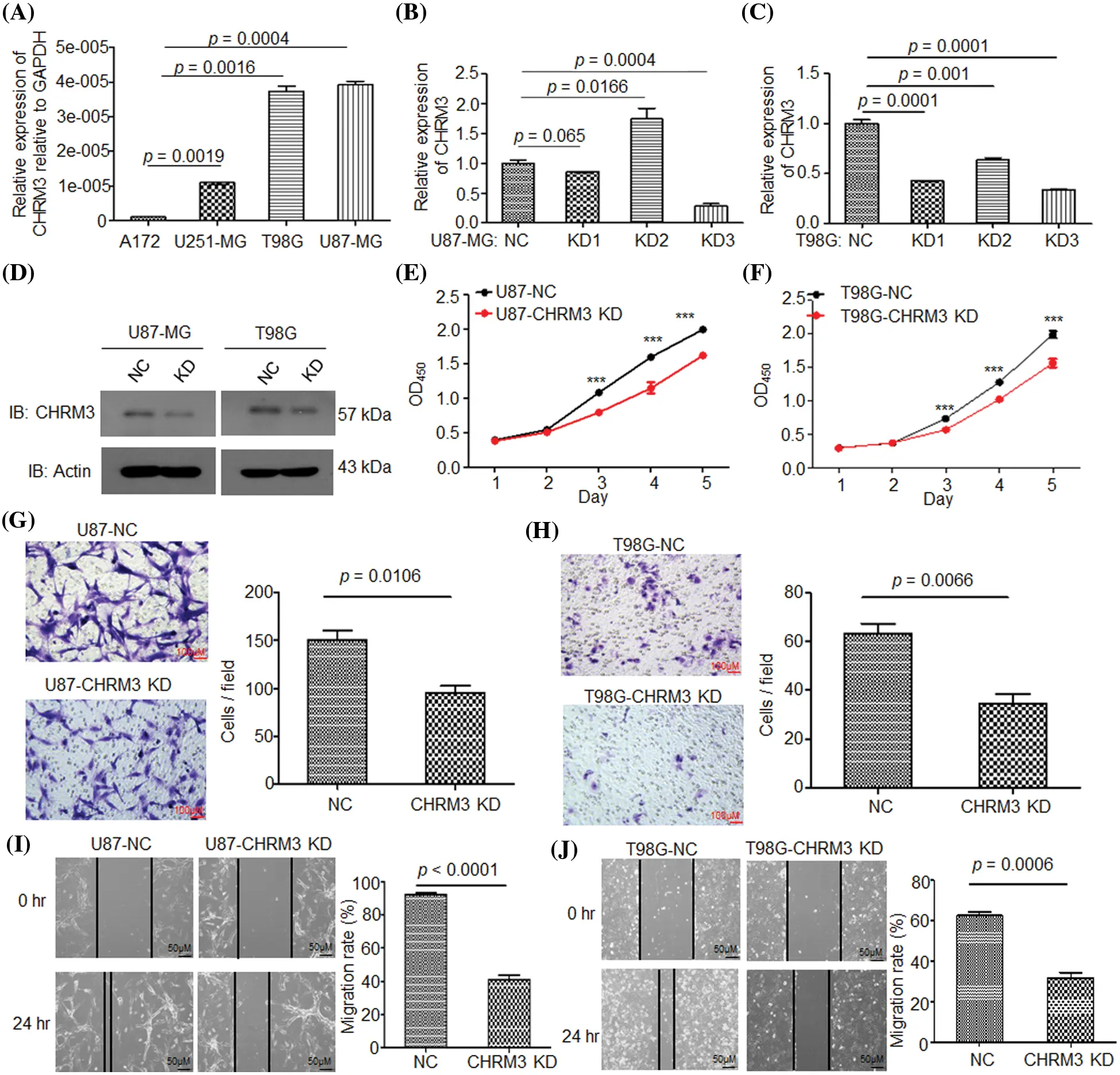 OR | Free Full-Text | CHRM3 is a novel prognostic factor of poor ...