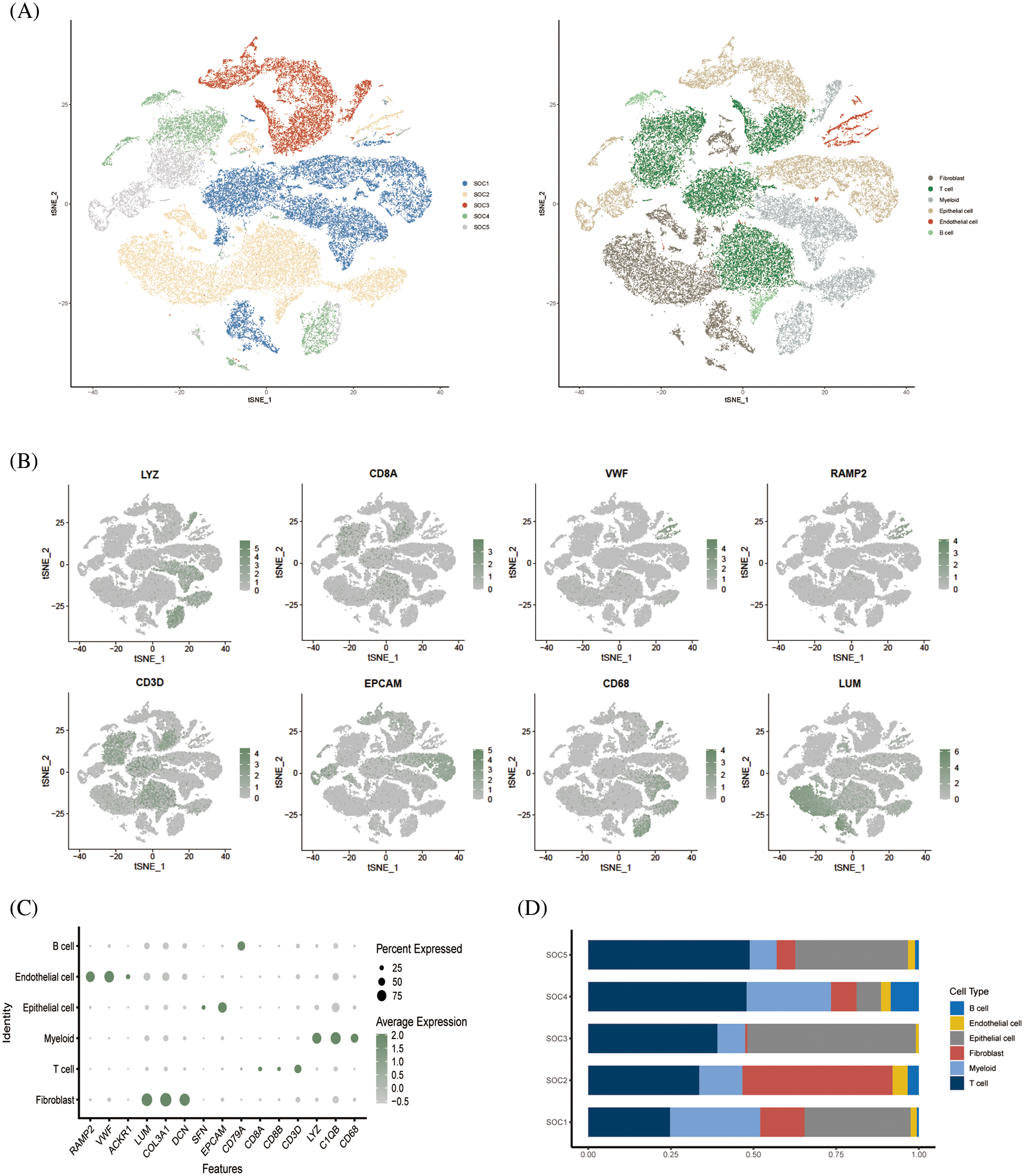 Or Free Full Text System Analysis Based On The T Cell Exhaustion