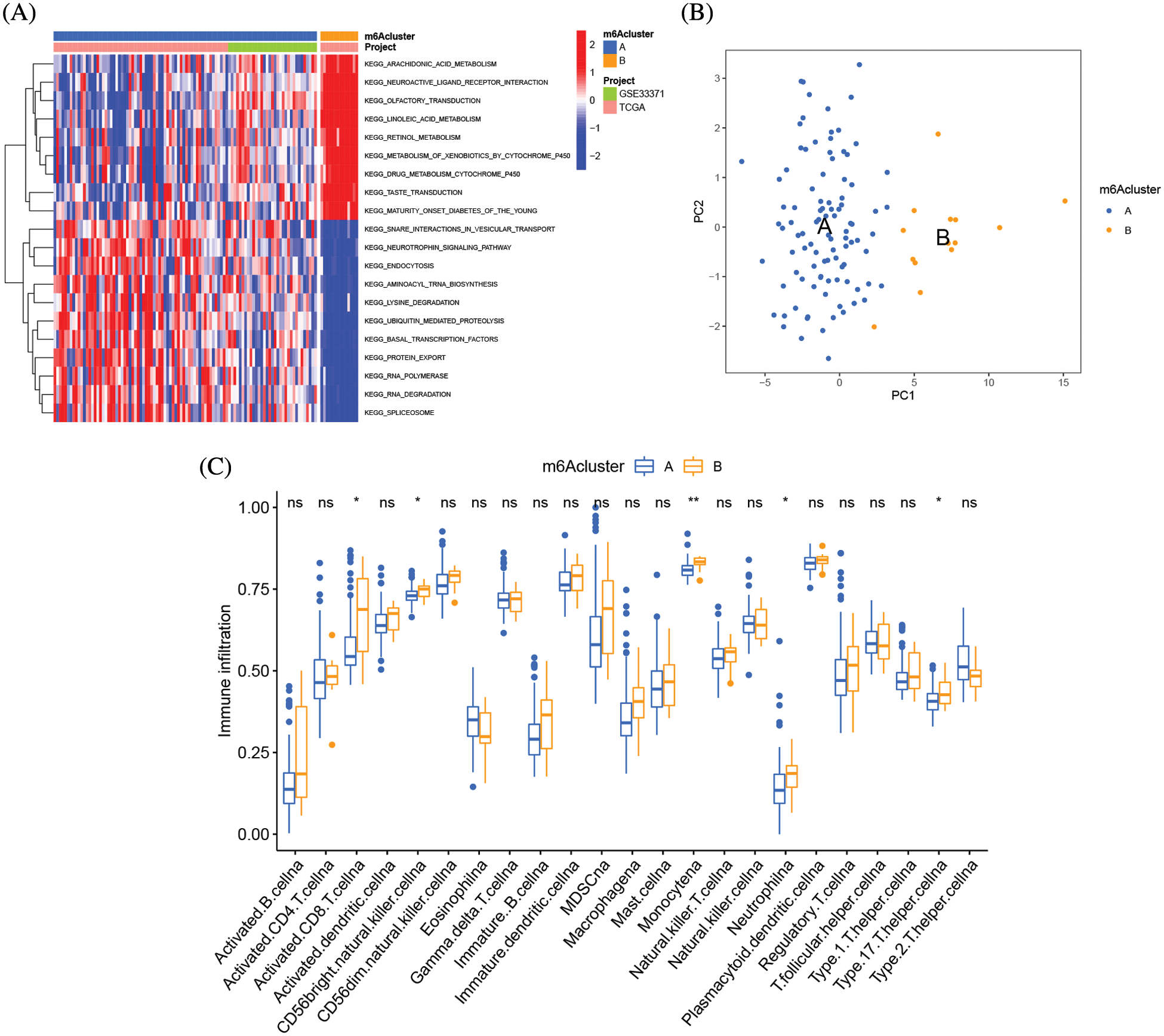 Or Free Full Text Elucidating The Clinical And Immunological Value