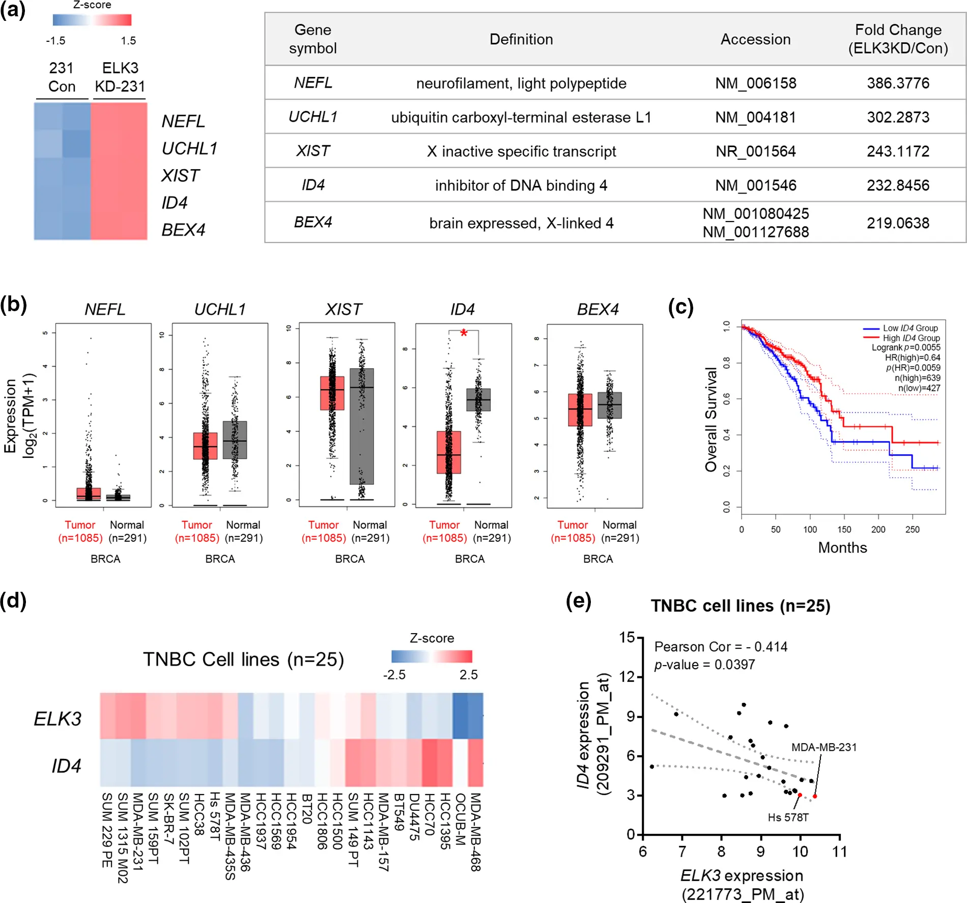 OR | Free Full-Text | ELK3-ID4 axis governs the metastatic features of triple negative breast cancer