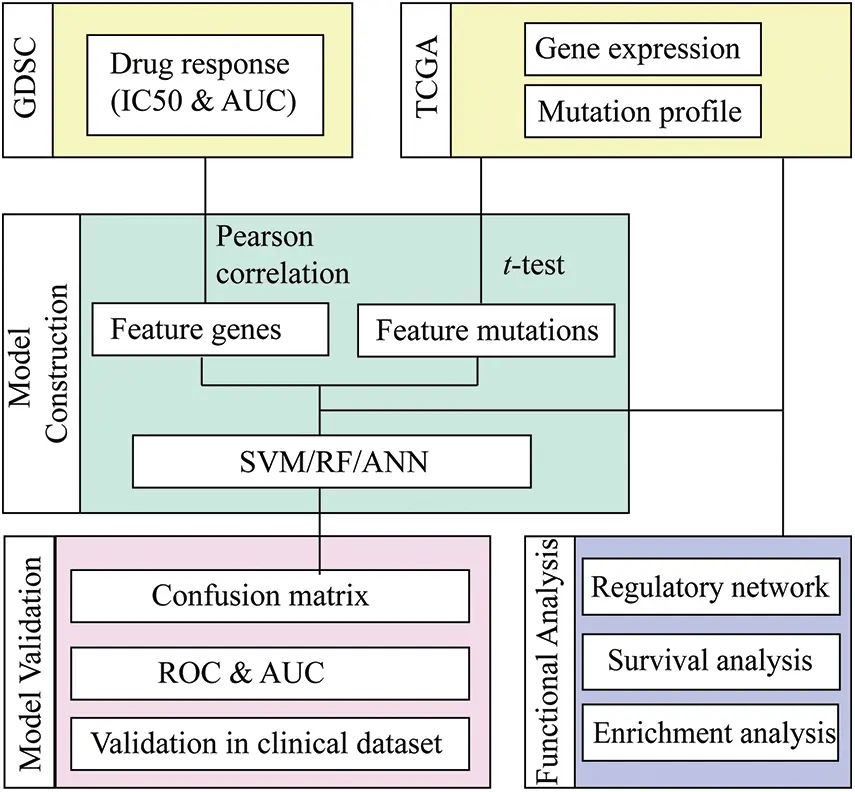 OR | Free Full-Text | Extensive prediction of drug response in mutation-subtype-specific LUAD ...