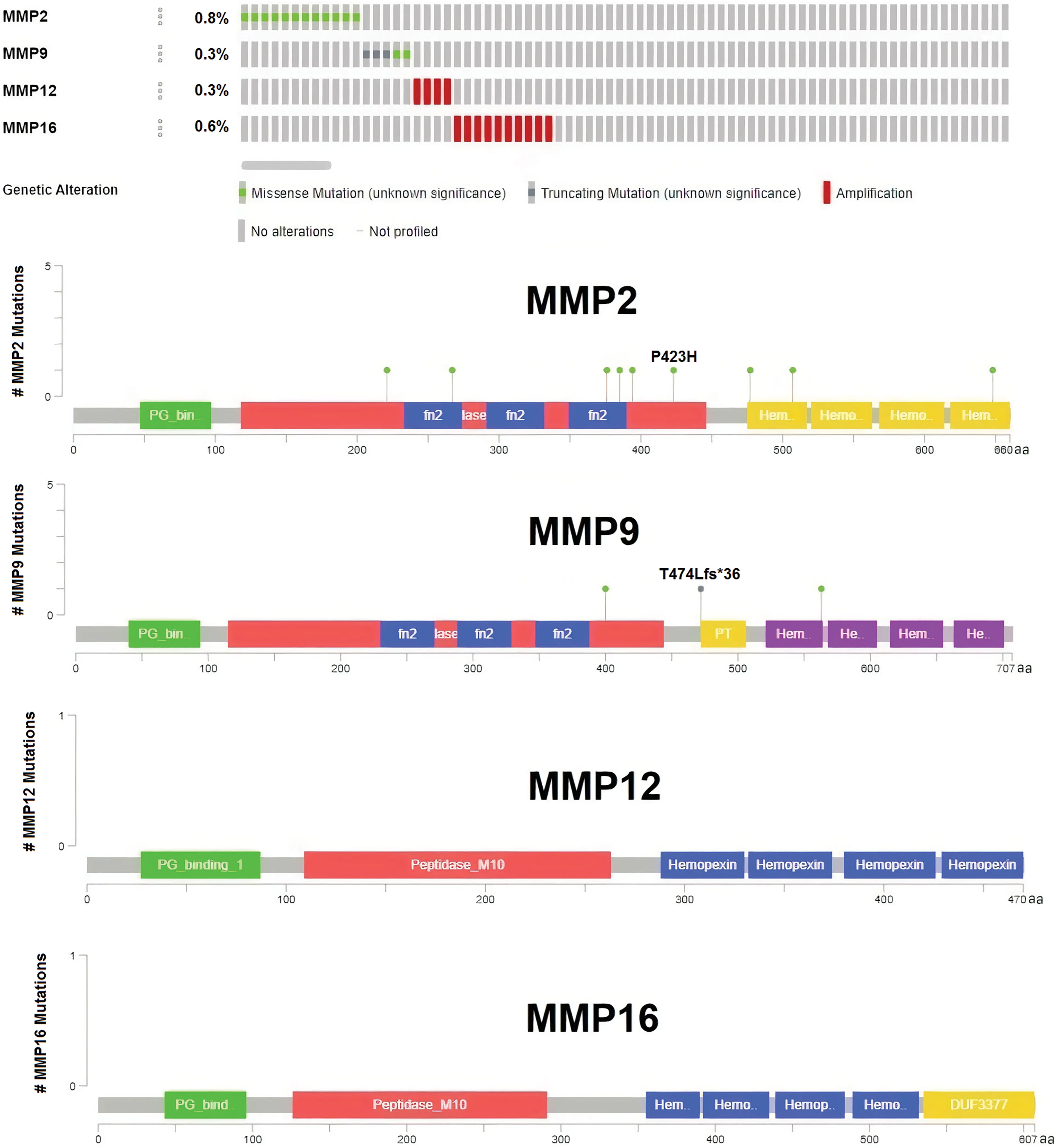 OR | Free Full-Text | Identifying and validating MMP family members ...