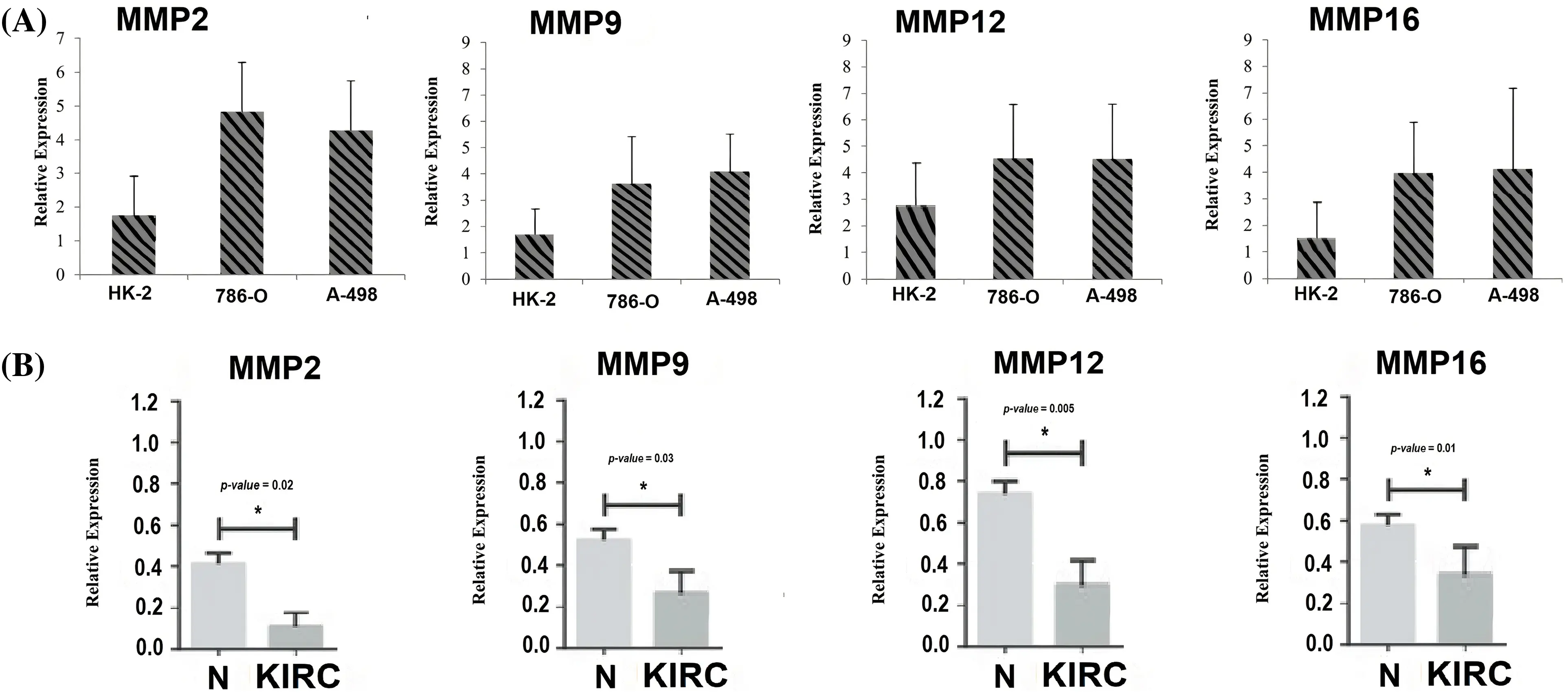 OR | Free Full-Text | Identifying and validating MMP family members ...