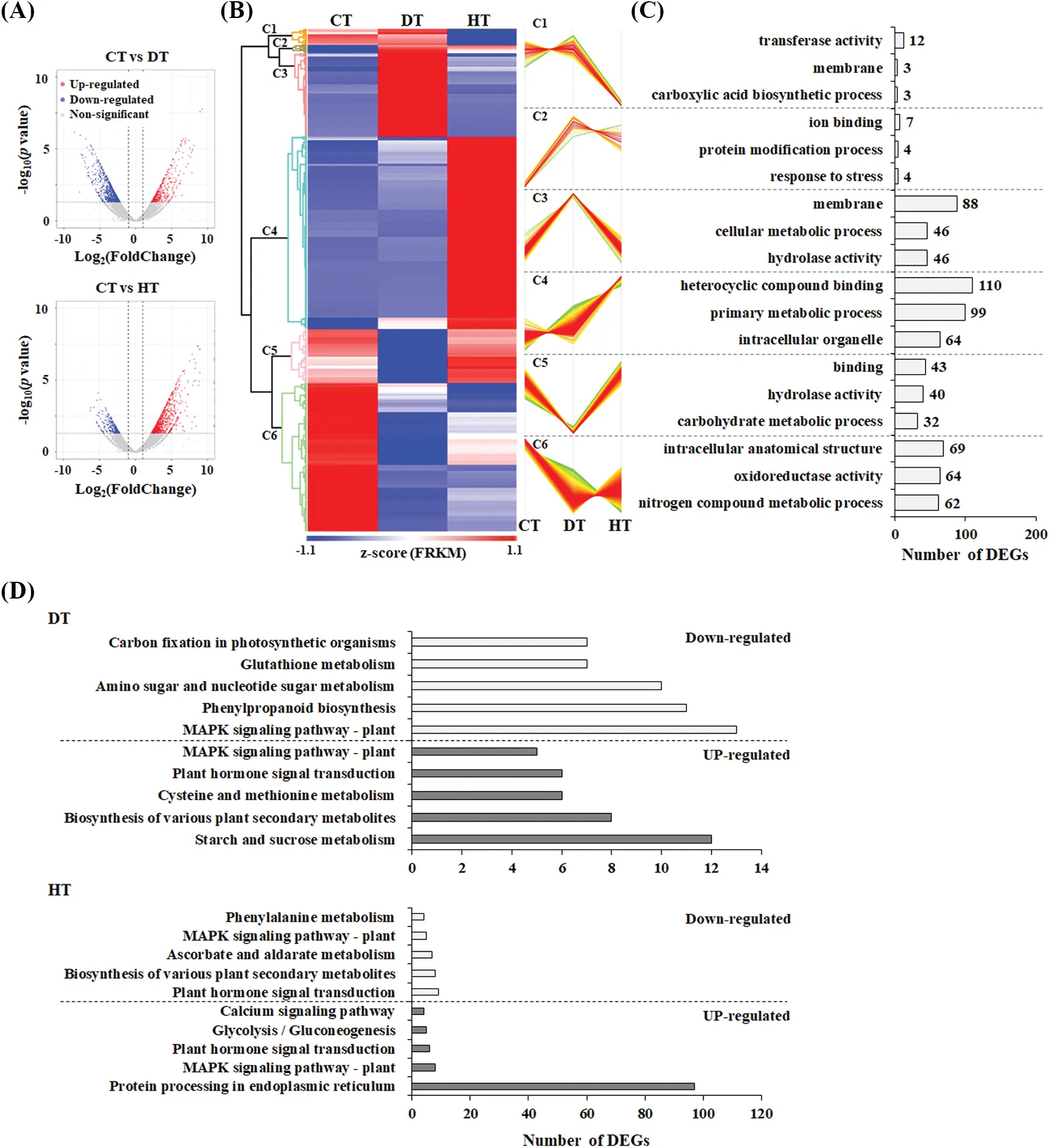 PHYTON | Free Full-Text | Transcriptomic Responses of Garlic ( Allium ...