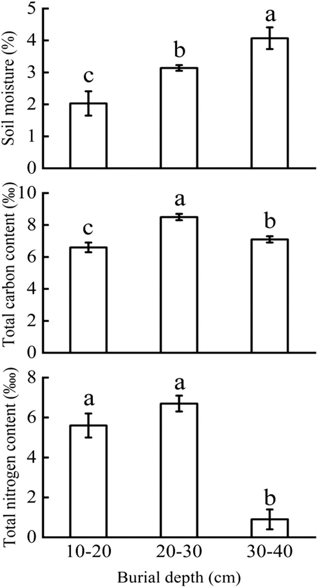 PHYTON | Free Full-Text | Soil Moisture Rather than Soil Nutrient ...