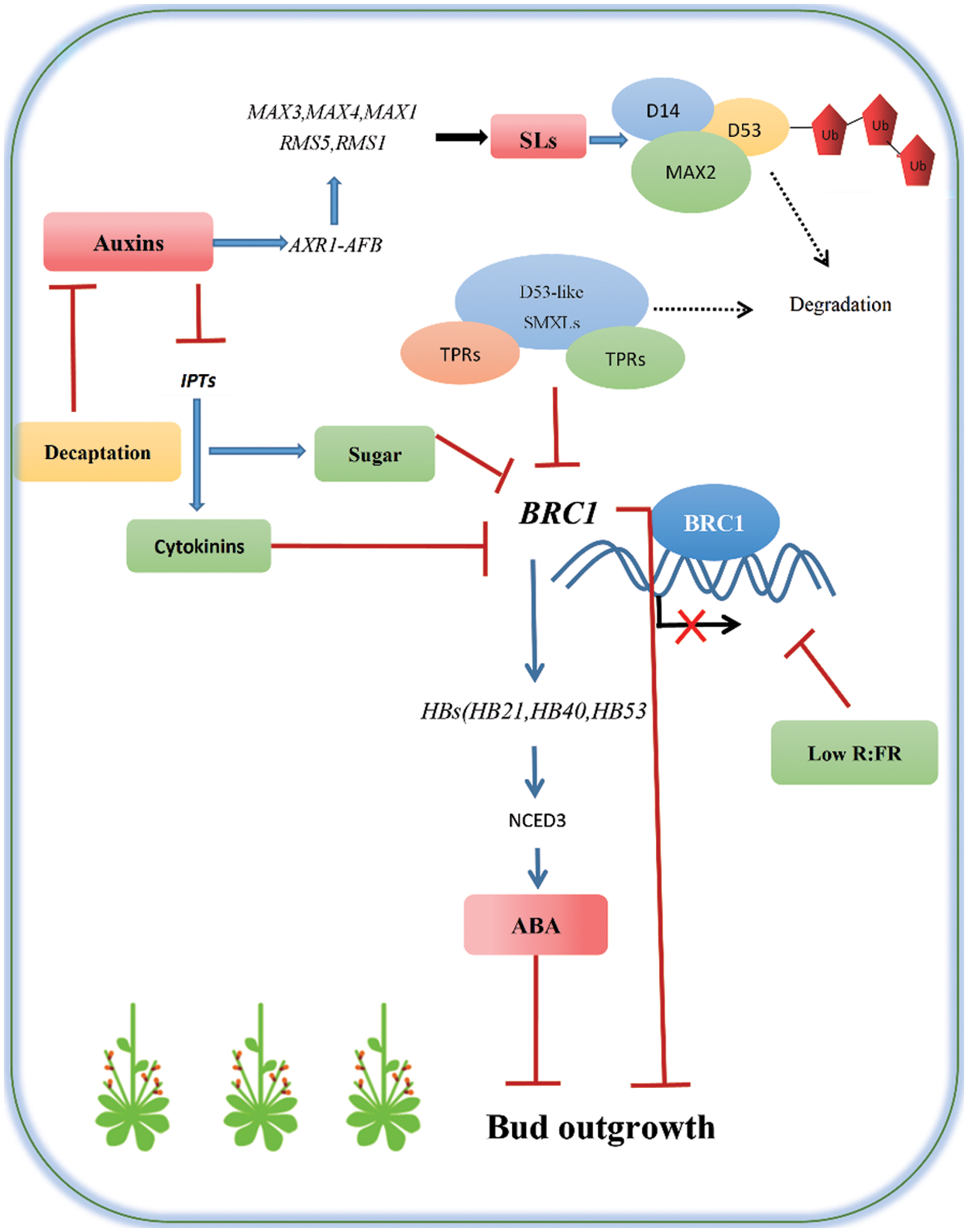 PHYTON | Free Full-Text | Research Progress and Application of Plant ...