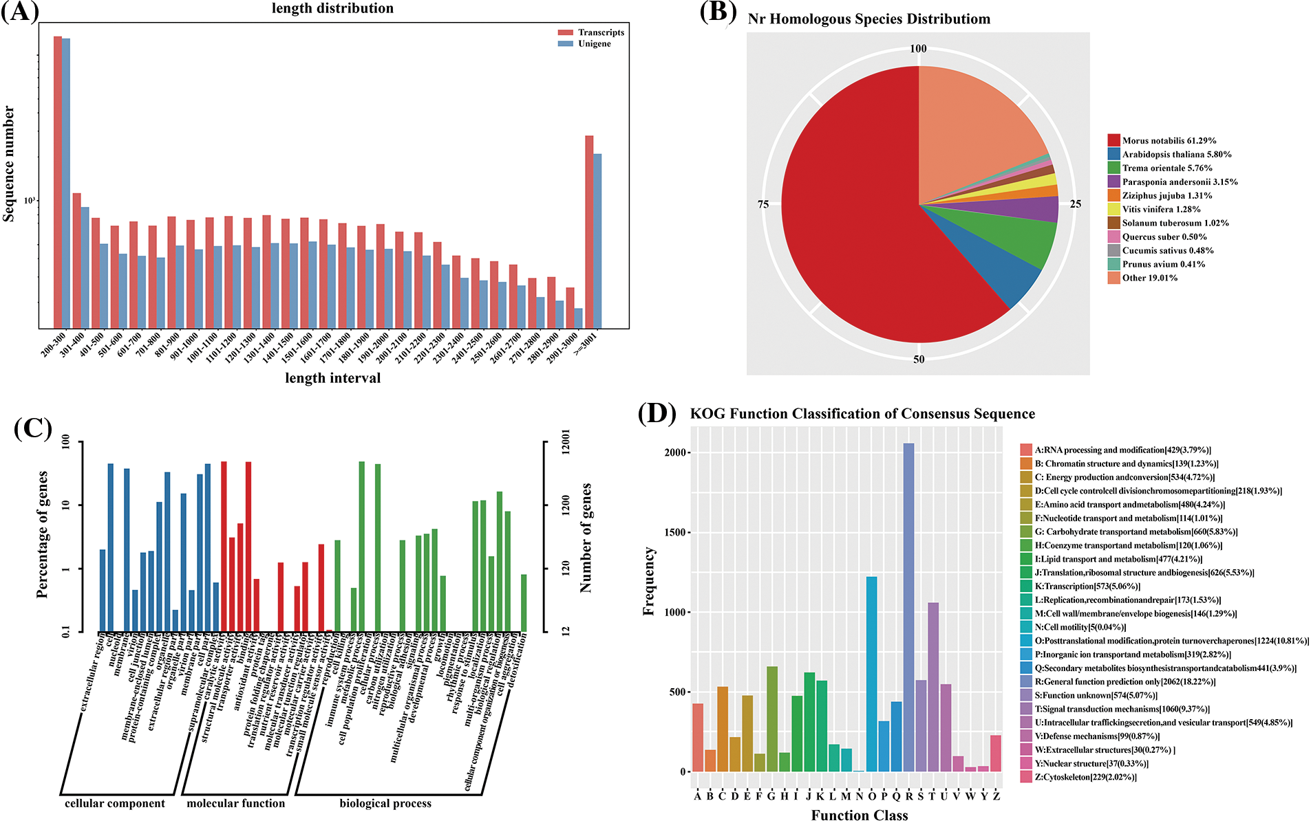 Phyton Free Full Text Transcriptome Profiling Of The Salt Stress
