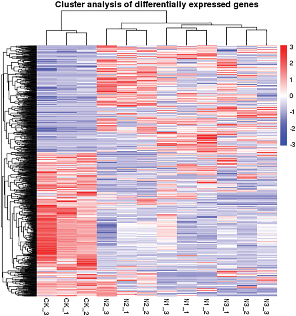 Phyton Free Full Text Transcriptome Profiling Of The Salt Stress