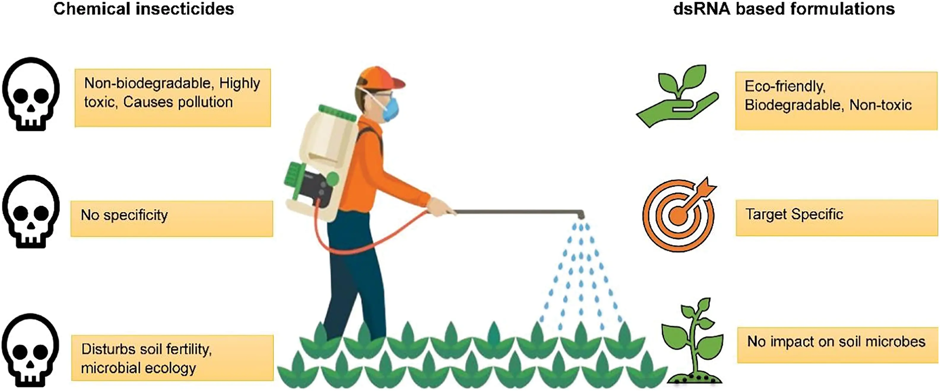 PHYTON | Free Full-Text | Role of dsRNA-Based Insecticides in ...