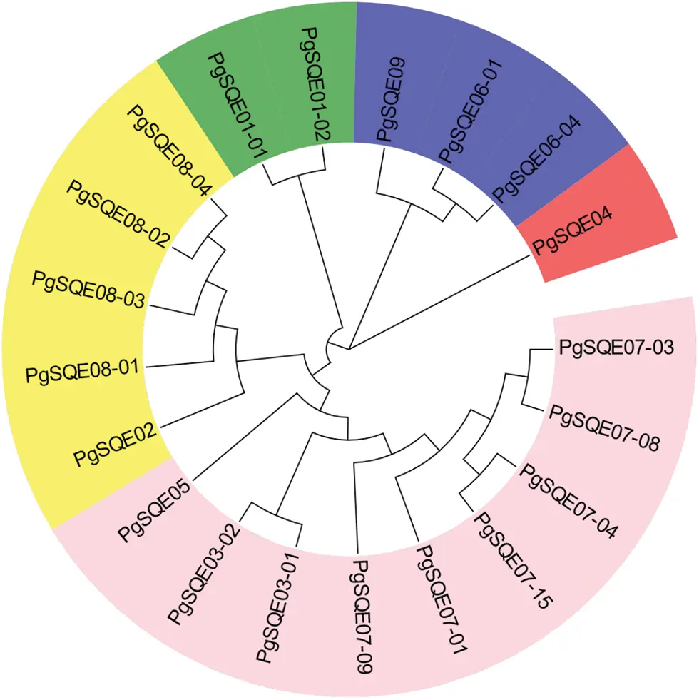 Phyton Free Full Text Transcriptome Wide Identification And