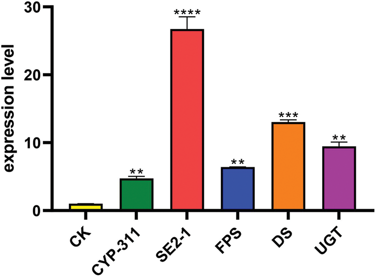 Phyton Free Full Text Transcriptome Wide Identification And