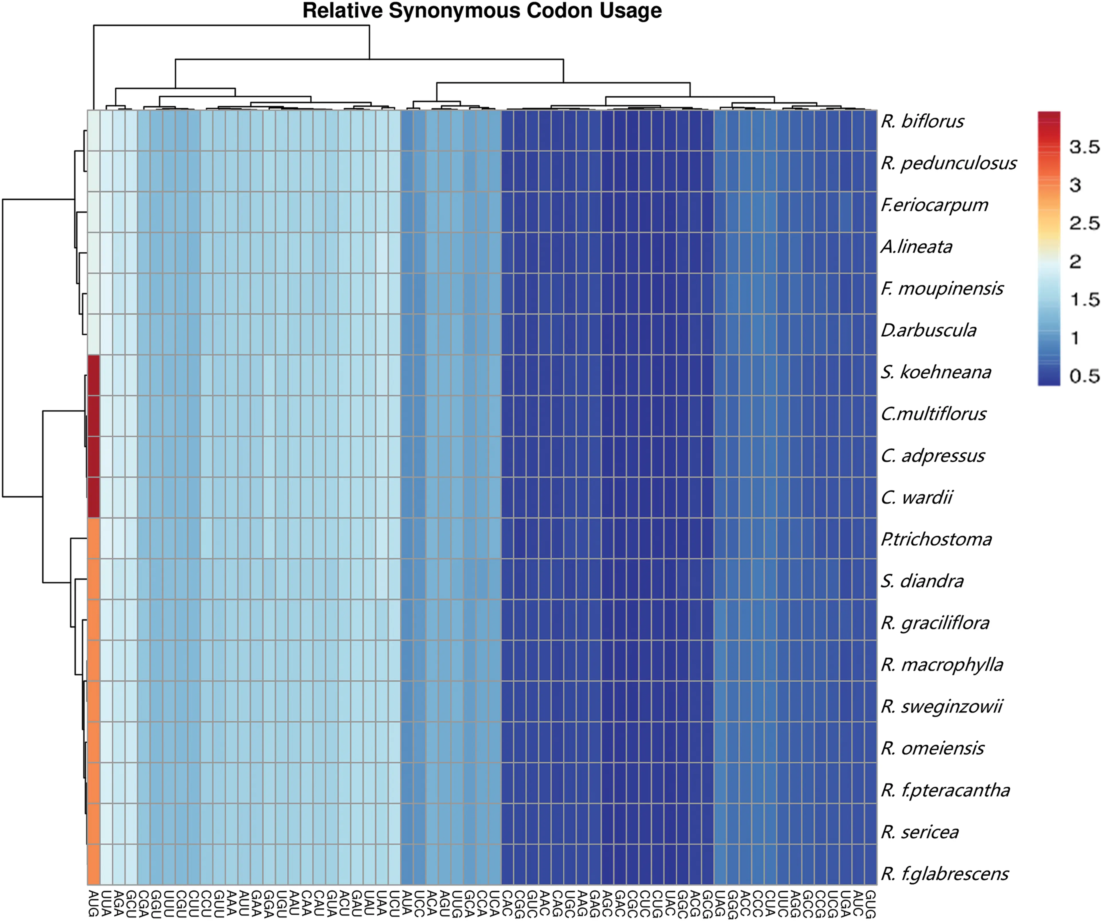 Phyton Free Full Text Comparative And Phylogenetic Analysis Of The