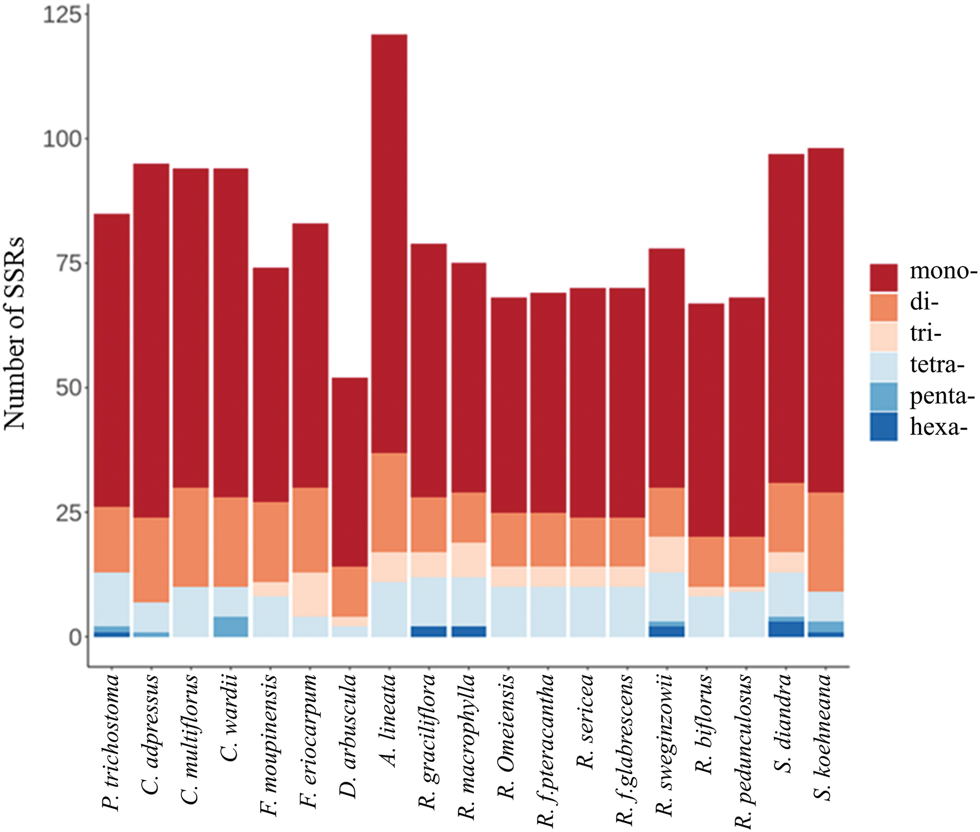 Phyton Free Full Text Comparative And Phylogenetic Analysis Of The